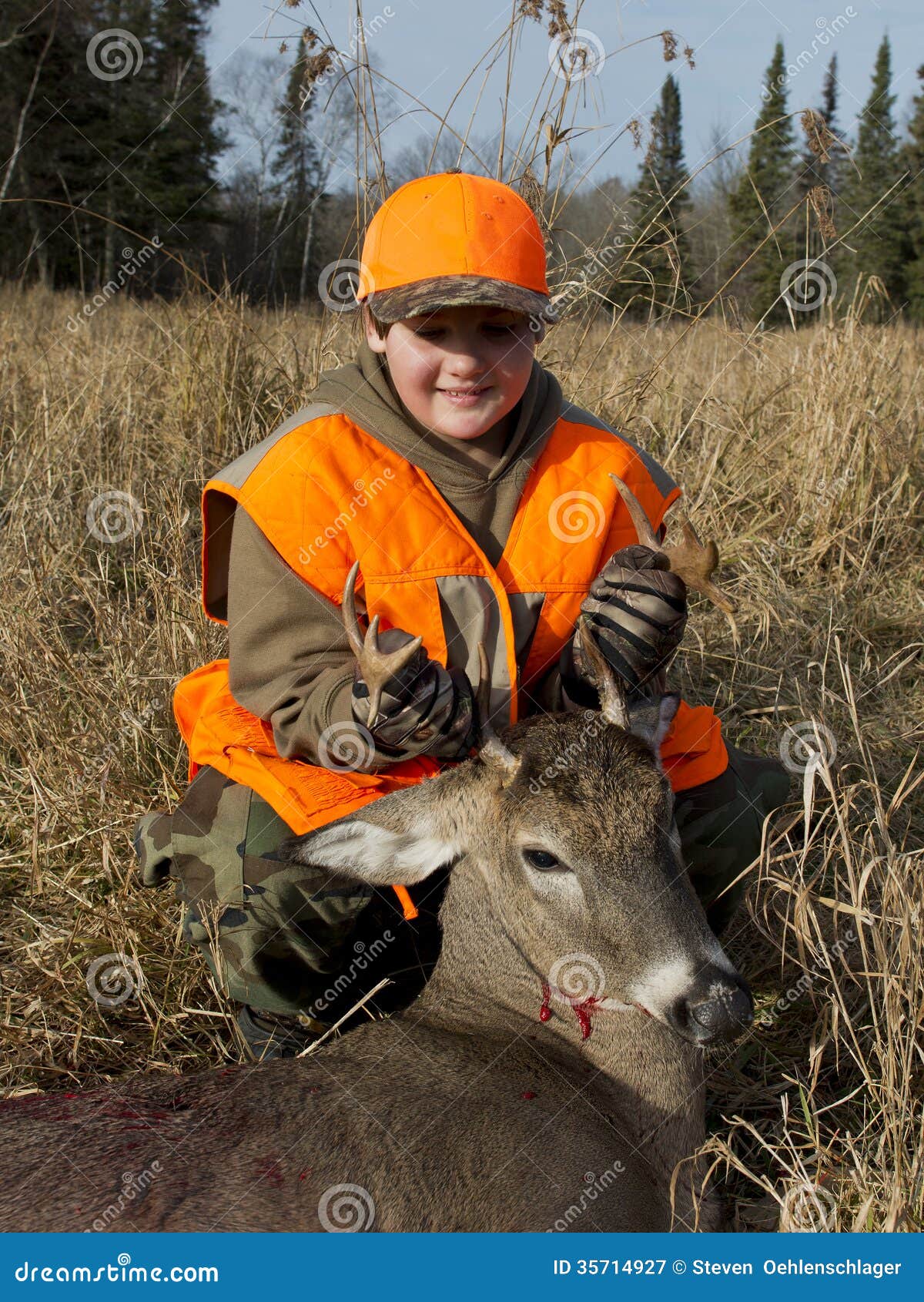 Rotwild-Jagd stockbild. Bild von jagd, junge, säugetier - 35714927