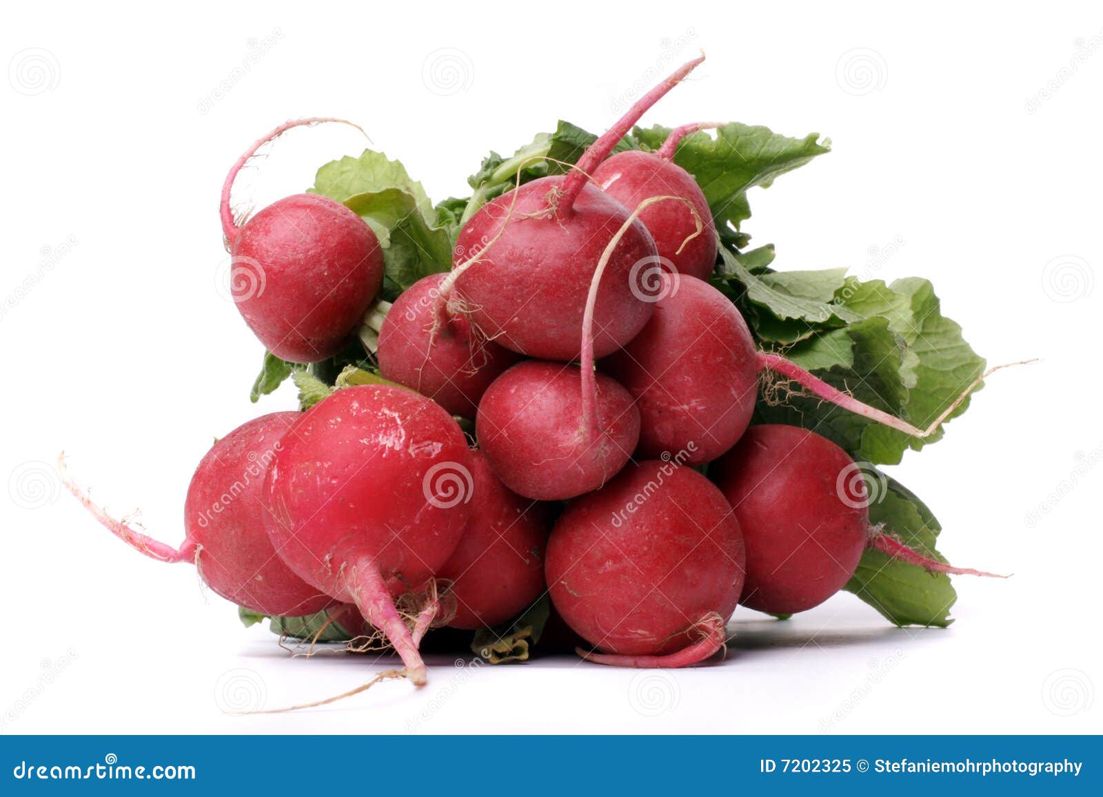 Rouge de radis image stock. Image du nature, maison, sain - 7202325