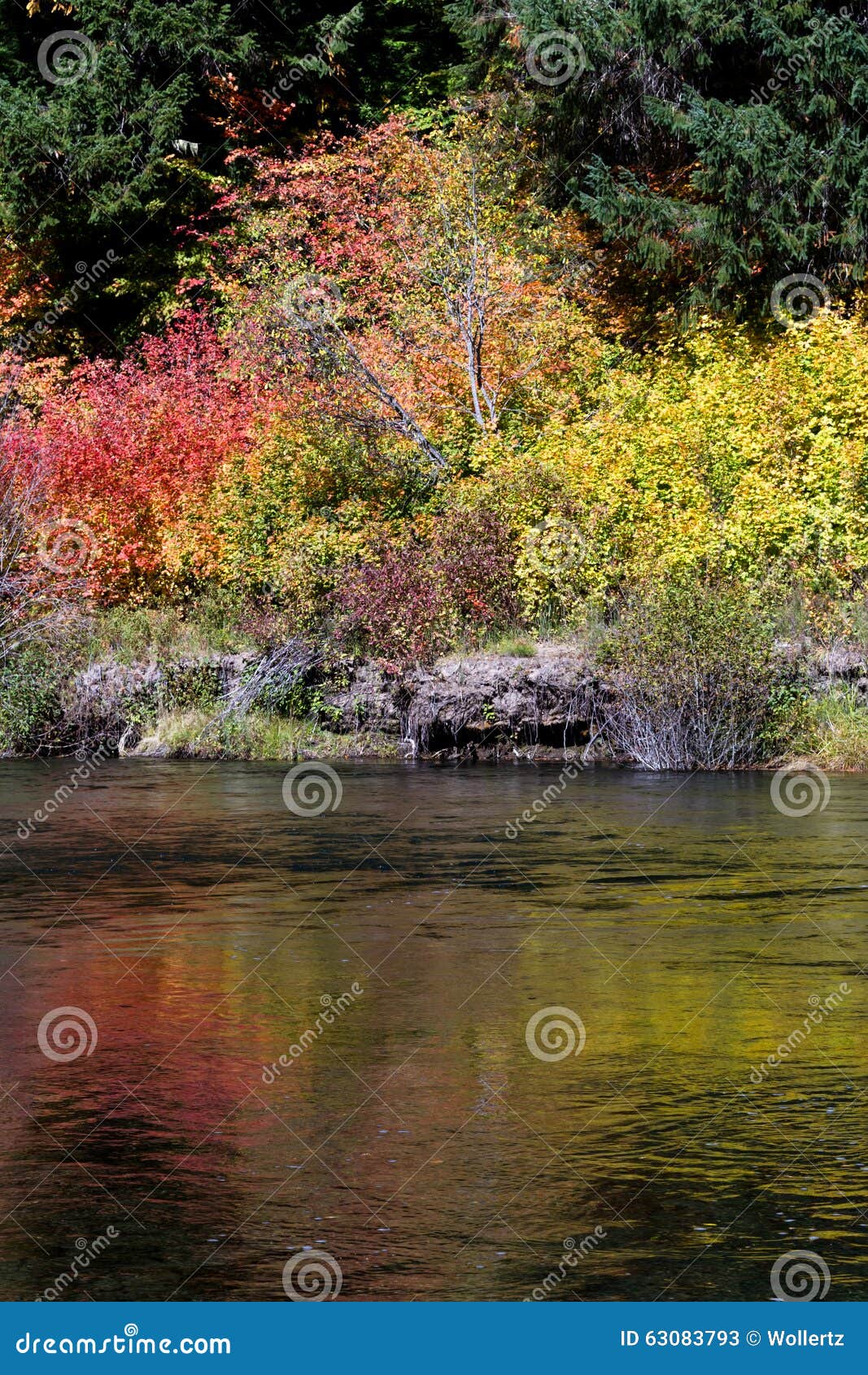 Rouge river in autumn stock image. Image of discover - 63083793