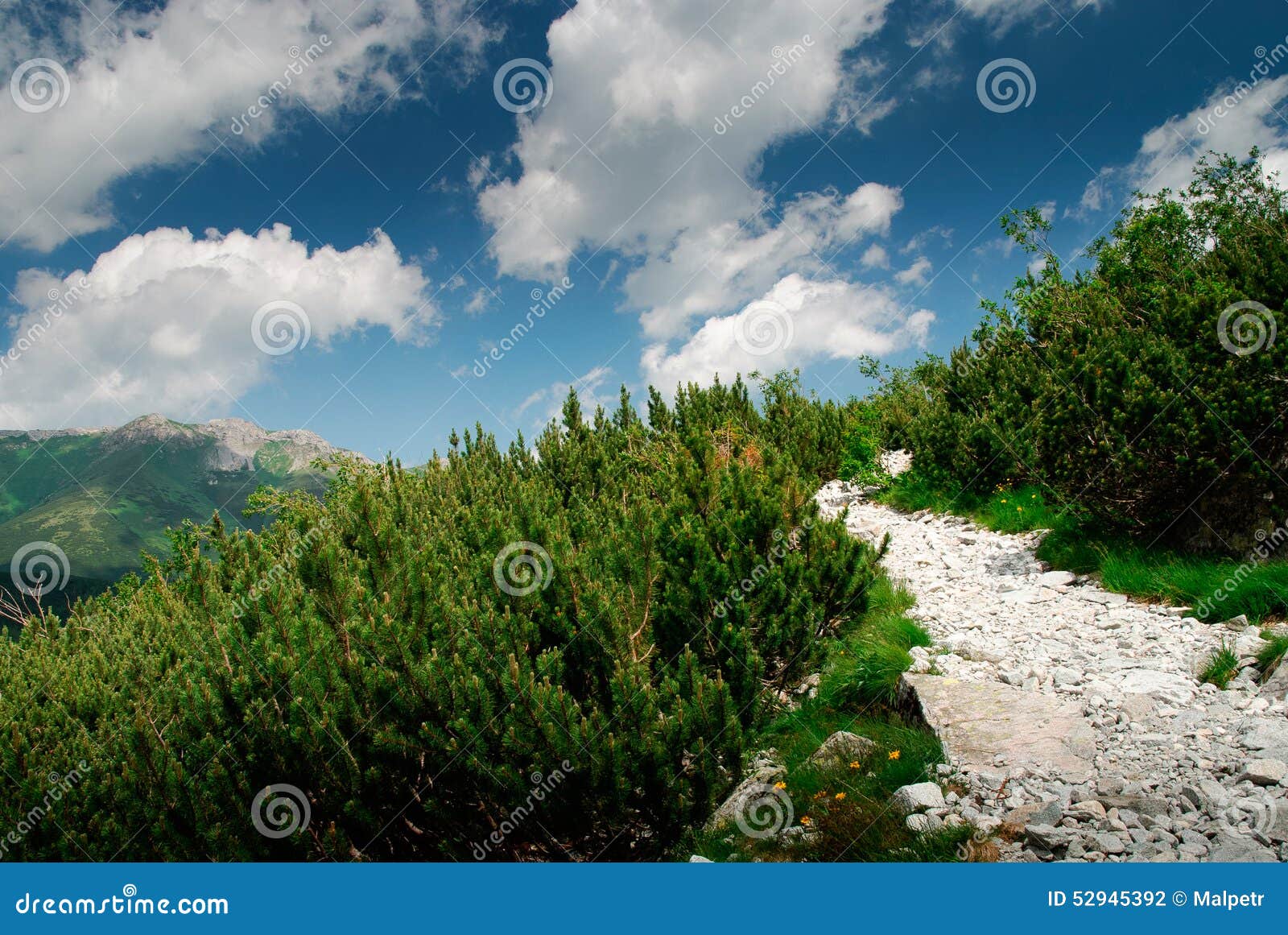 Rough alpine pathway stock photo. Image of direction - 52945392