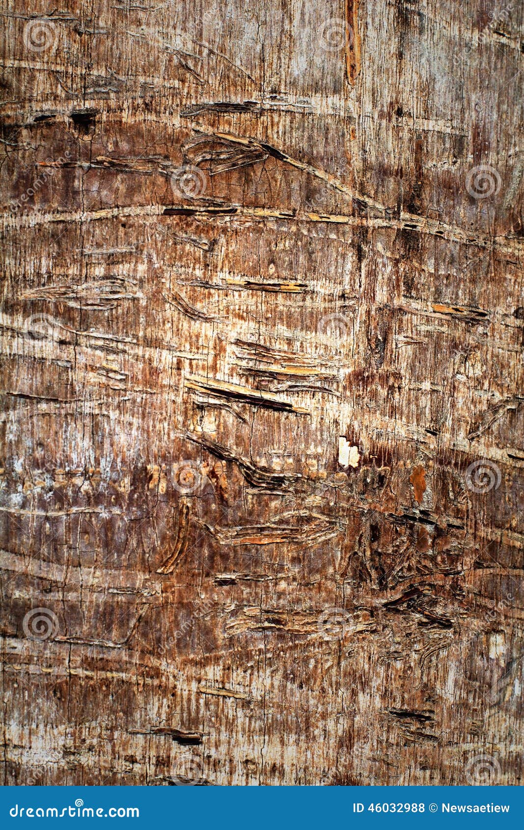 Rough background stock photo. Image of natural, closeup - 46032988