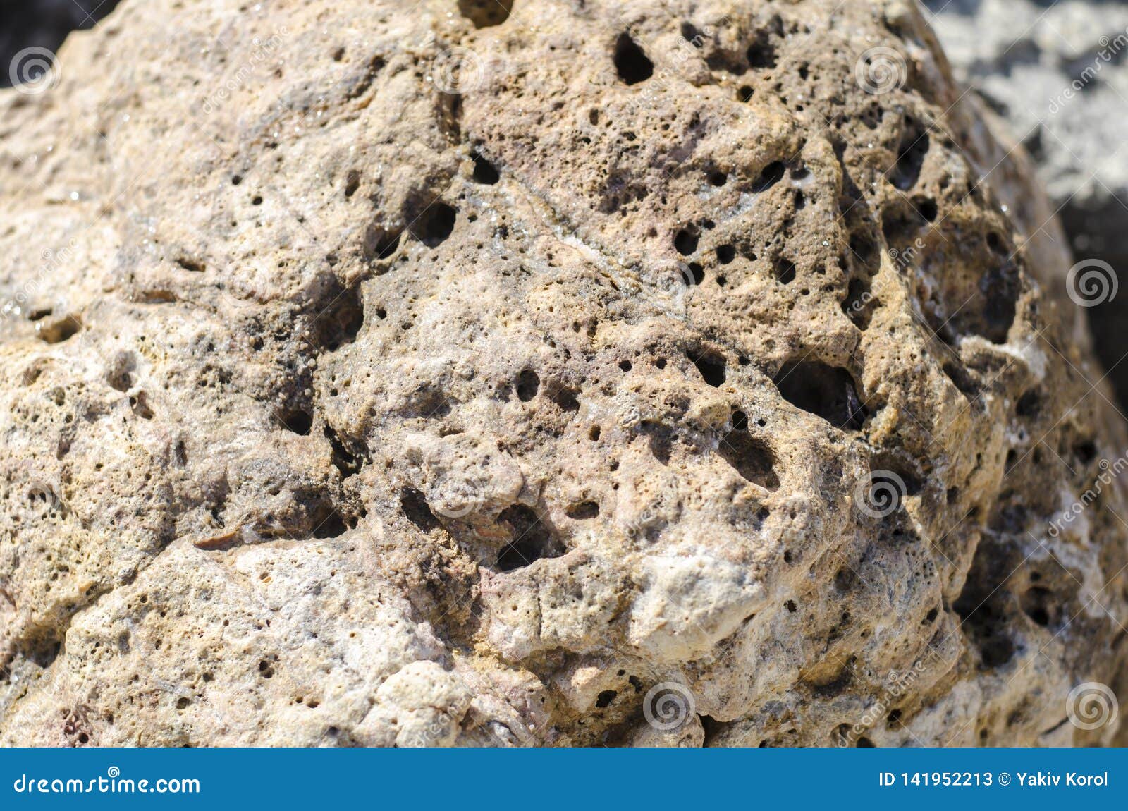 Rough Background Sandstone with Holes Texture Background Stock Image ...