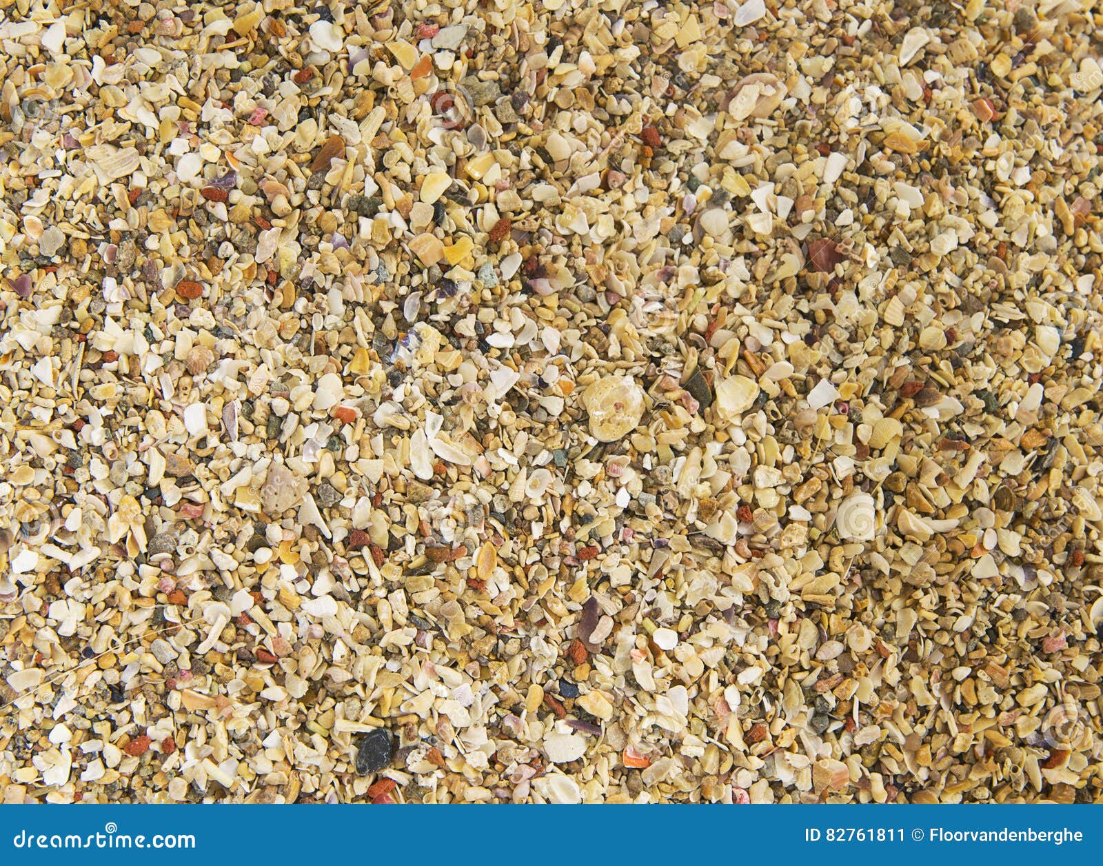 Rough Beach Sand Texture Stock Image | CartoonDealer.com #82761811