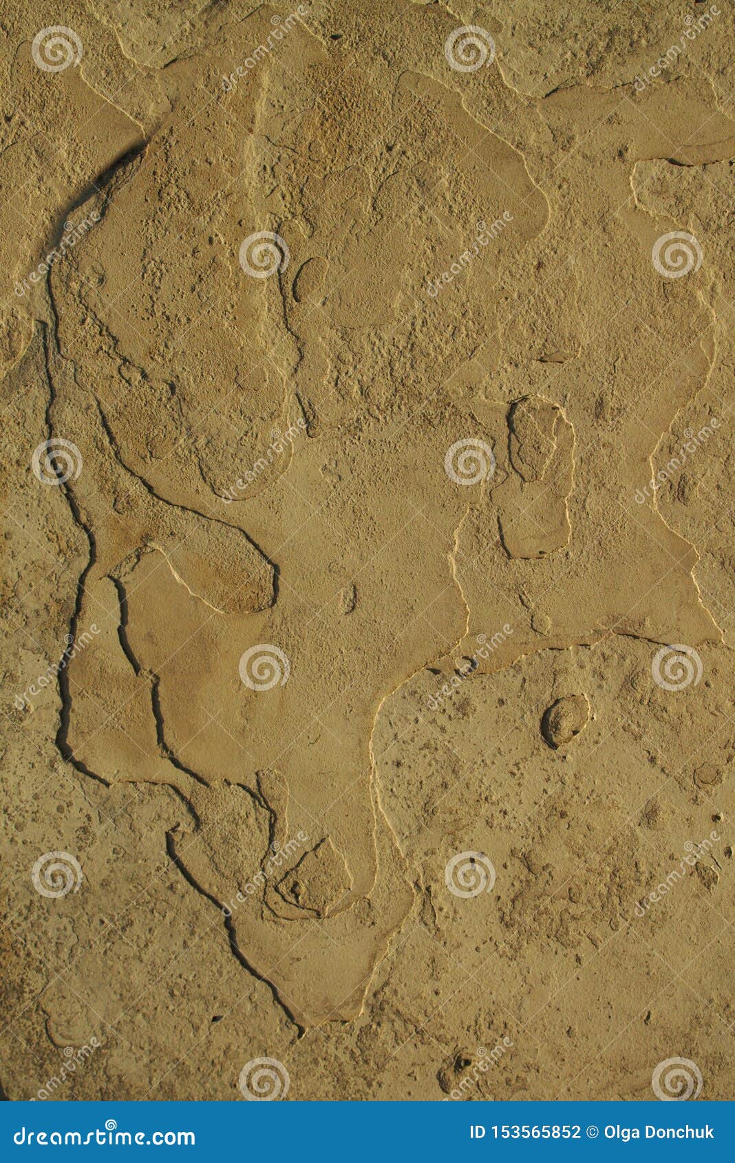 Rough beige rock texture stock photo. Image of beige - 153565852