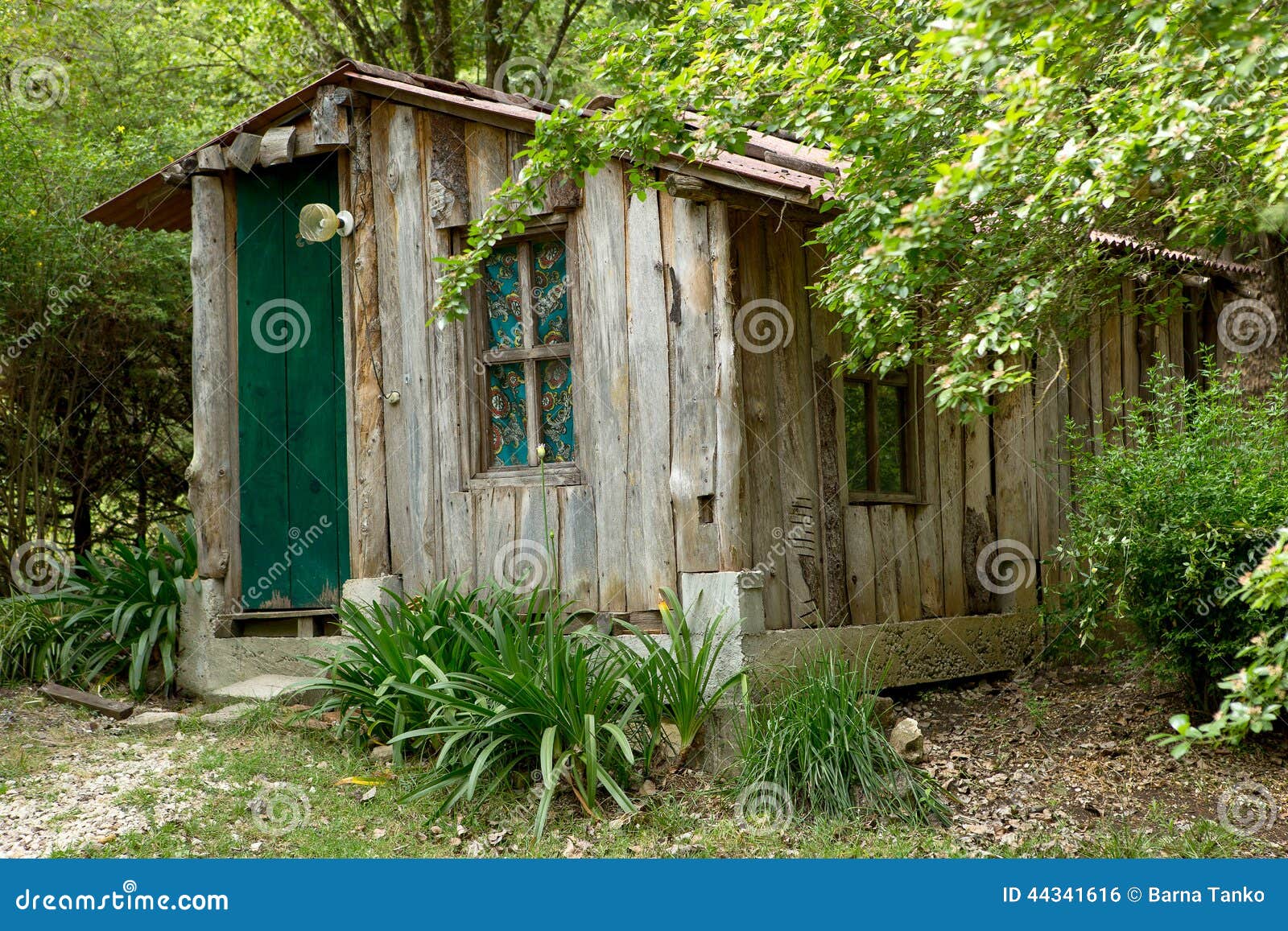 Rough Built Shack in the Forest Stock Photo - Image of mexico, hideaway ...