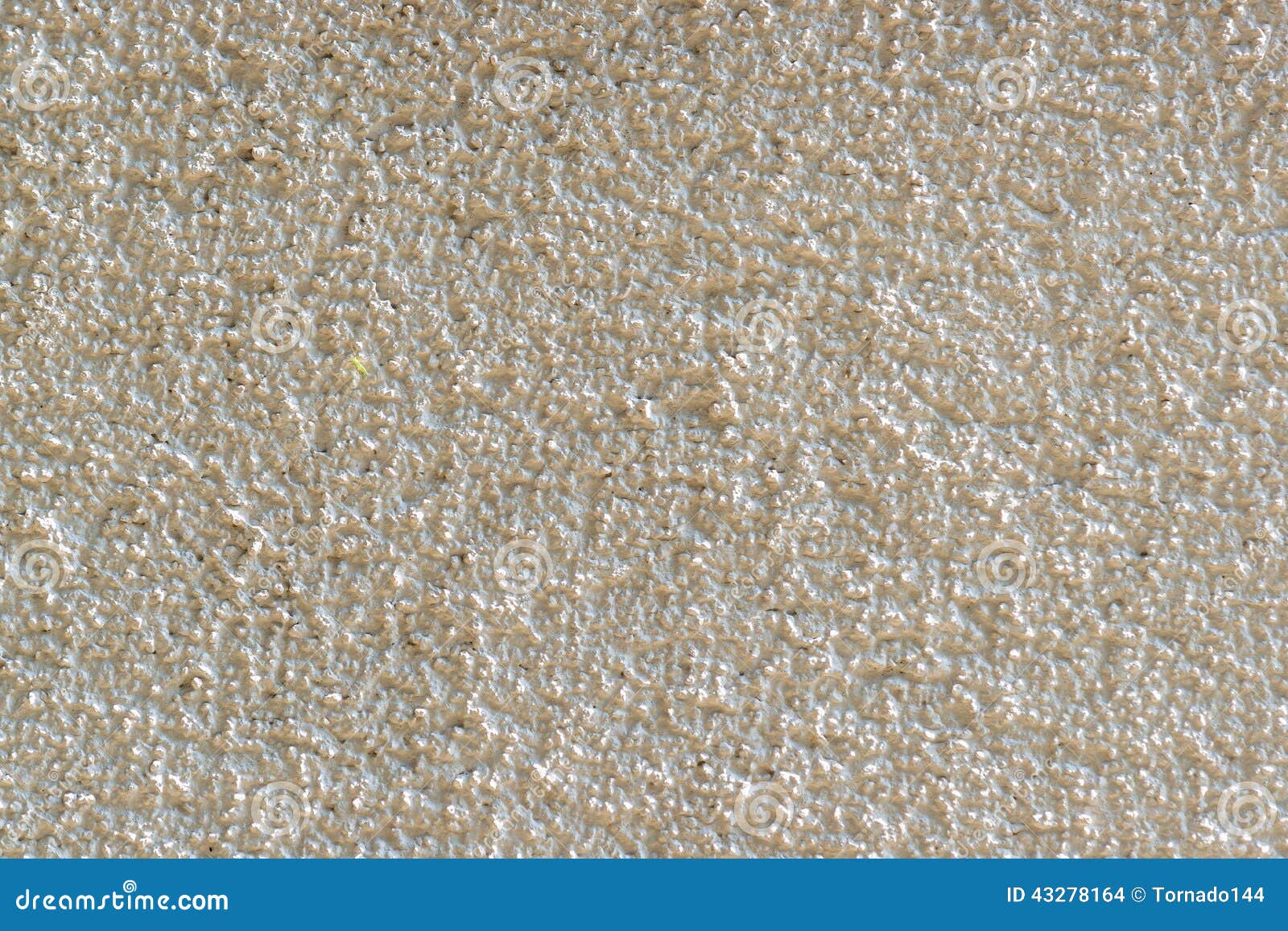 Rough cast texture stock photo. Image of plaster, solid - 43278164