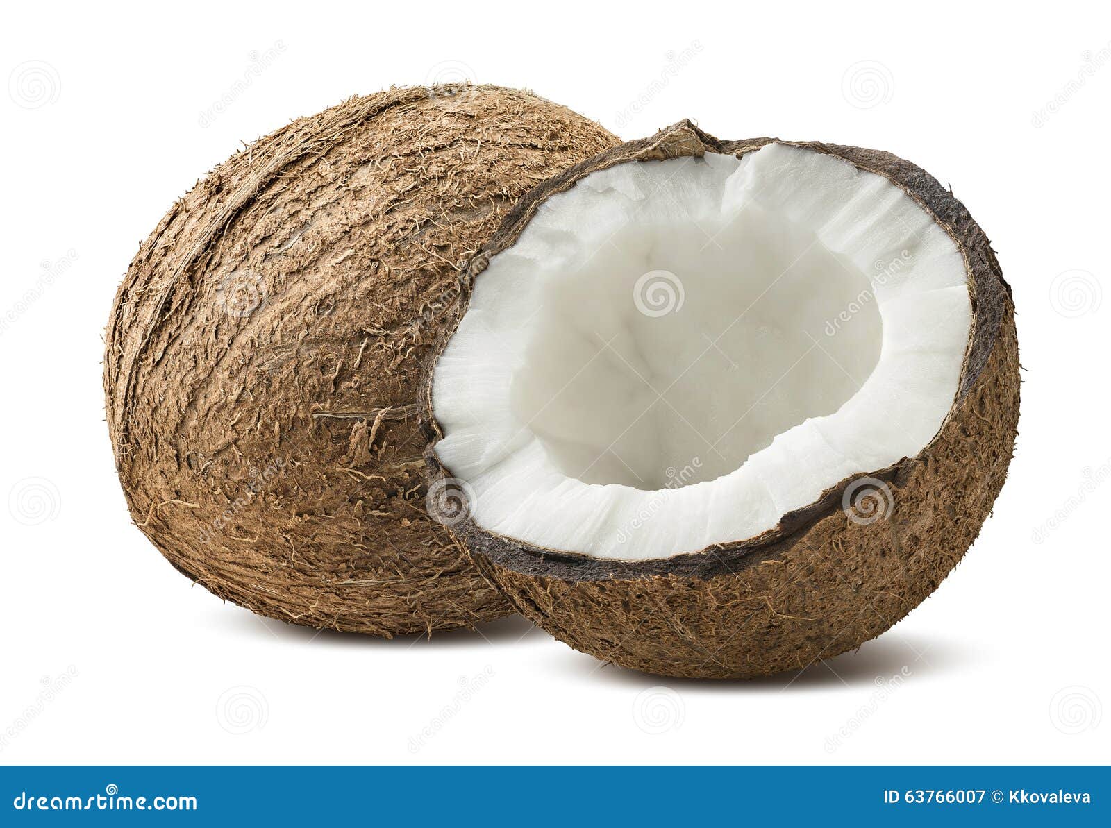 Rough Coconut Whole Half Pieces Isolated on White Background Stock ...