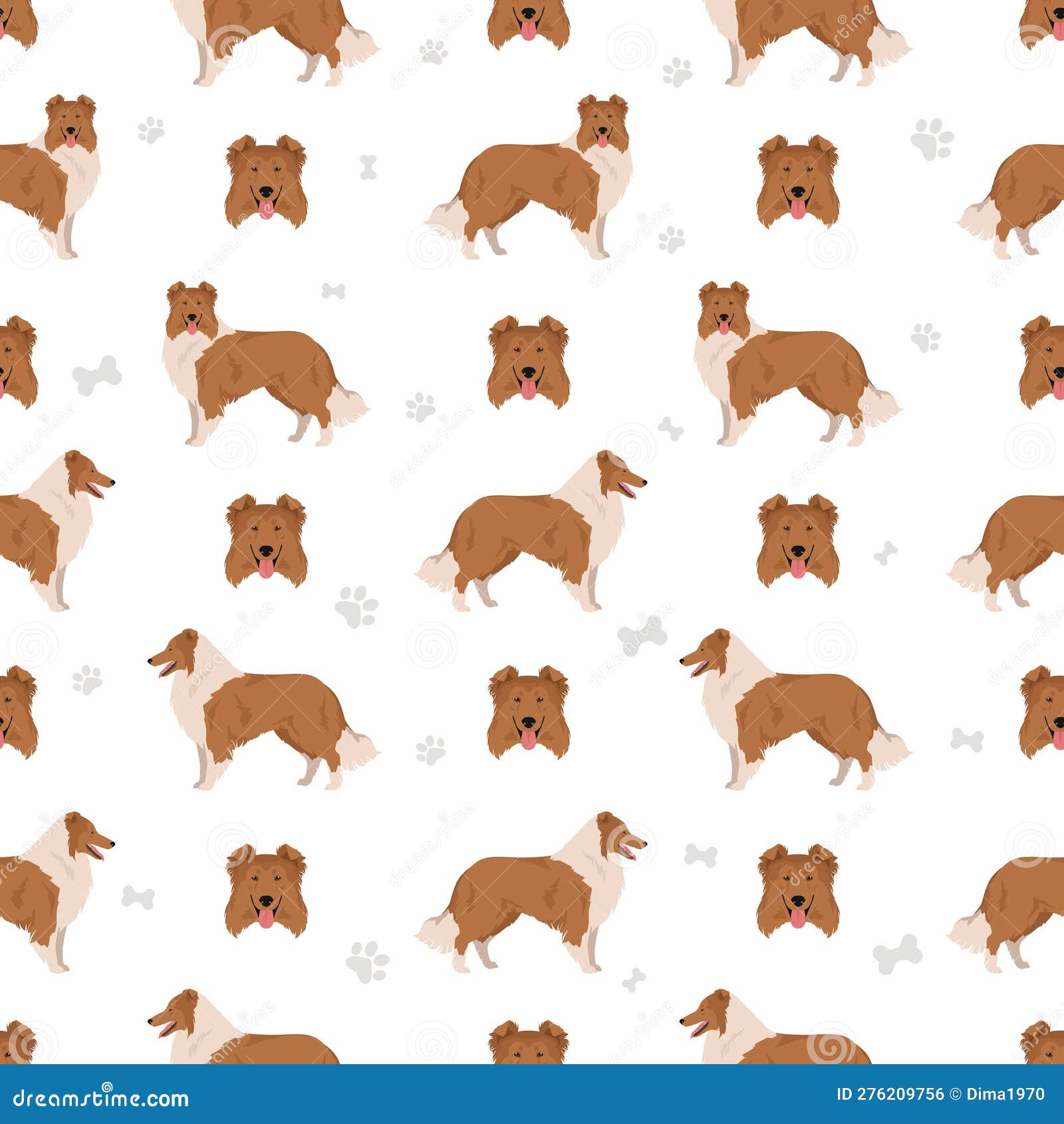 Rough Collie Seamless Pattern. Different Poses, Coat Colors Set Stock ...