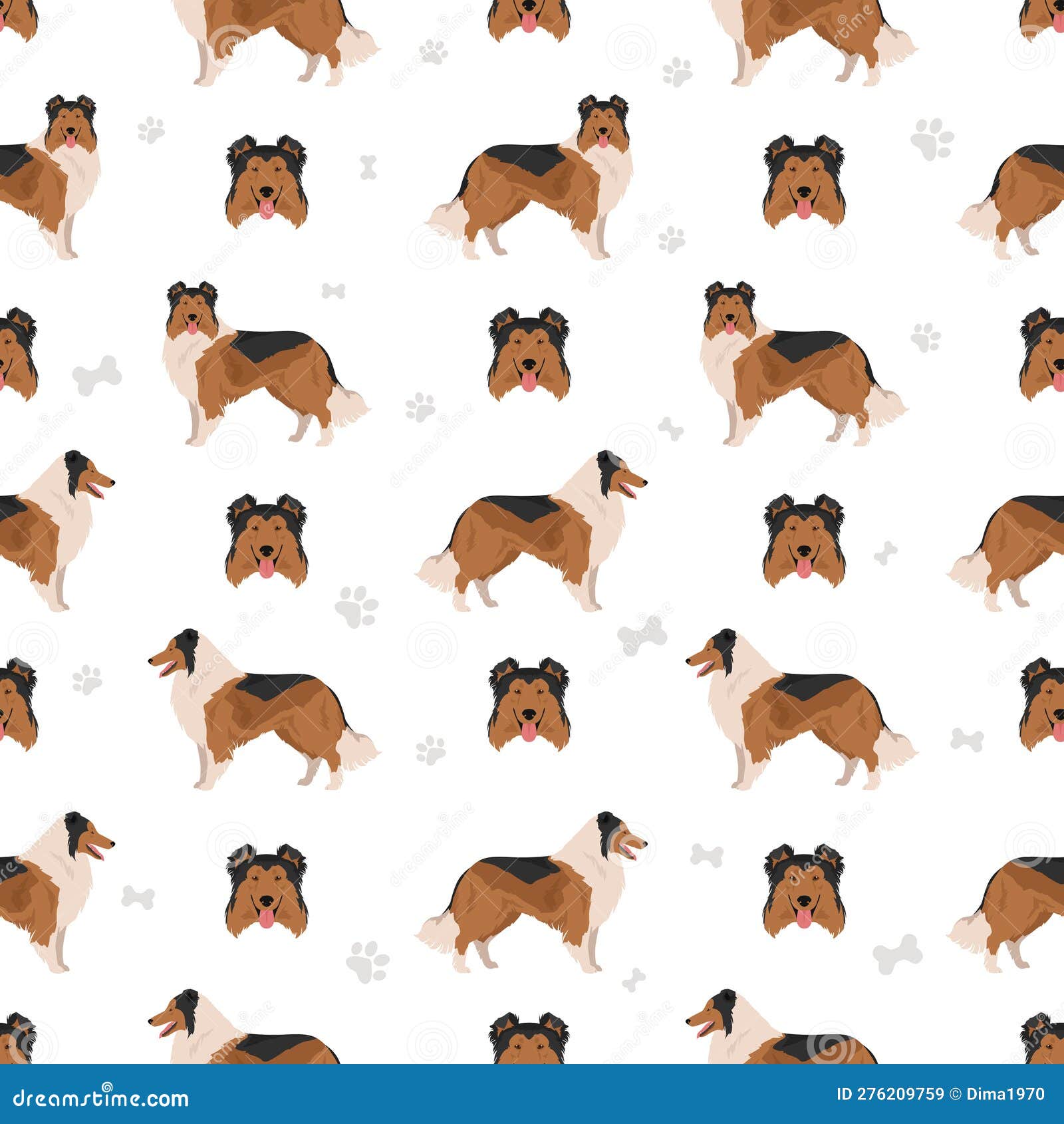 Rough Collie Seamless Pattern. Different Poses, Coat Colors Set Stock ...