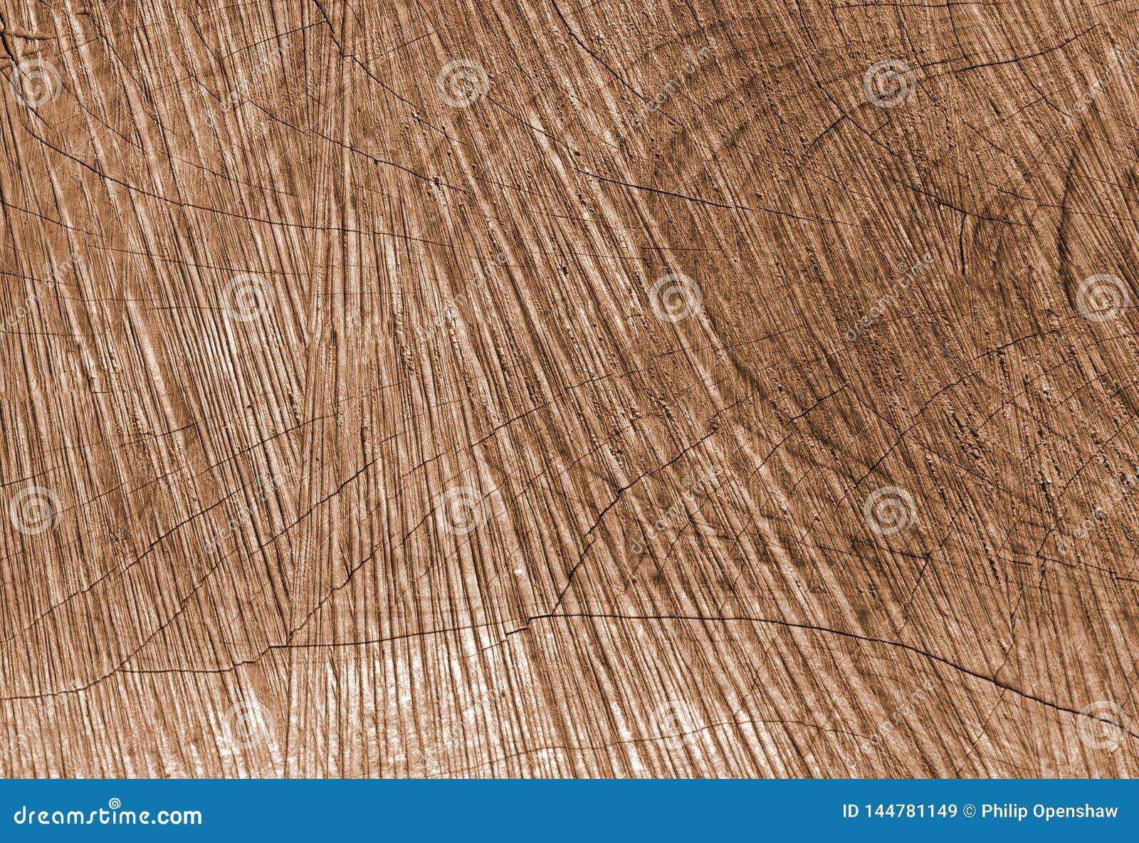 Rough Cut Brown Timber Surface with Patterned Scratched Surface Over ...