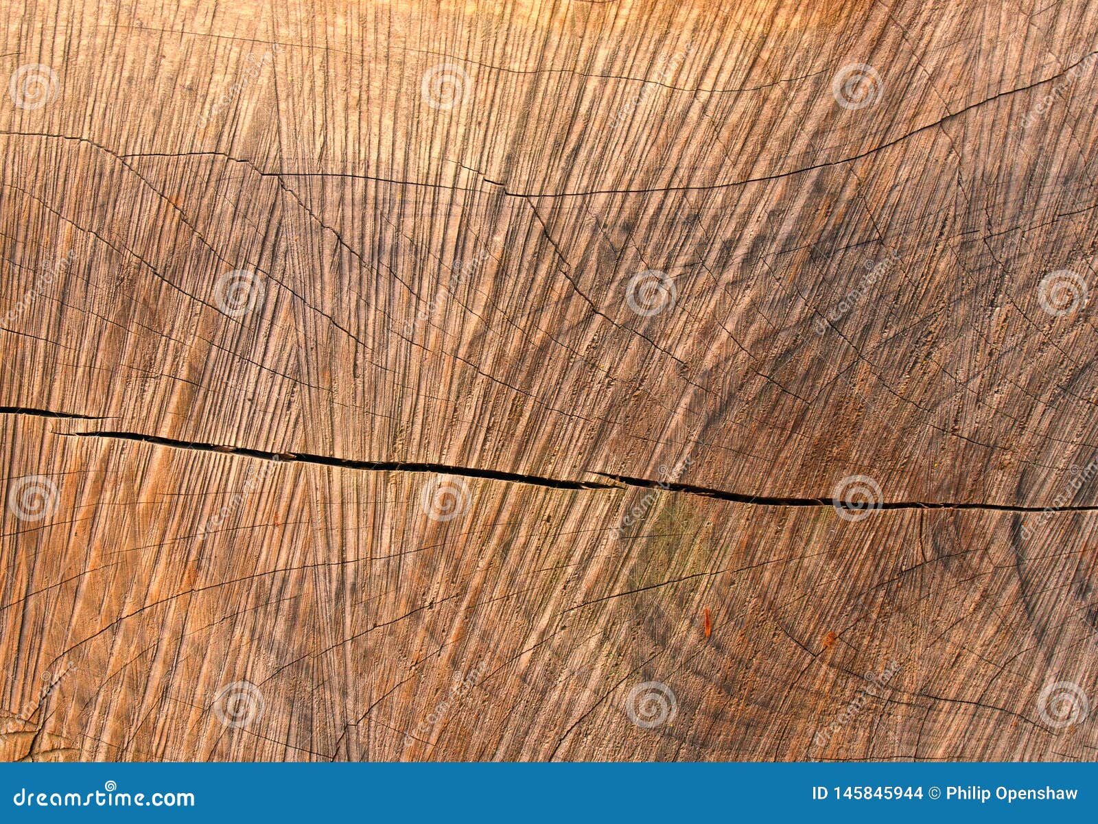 Rough Cut Brown Timber Surface with Patterned Scratched Surface Over ...