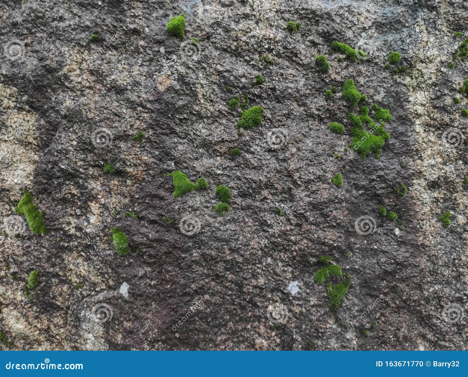 Rough, Damp Stone Wall Texture with Moss Growing on Surface Stock Photo ...