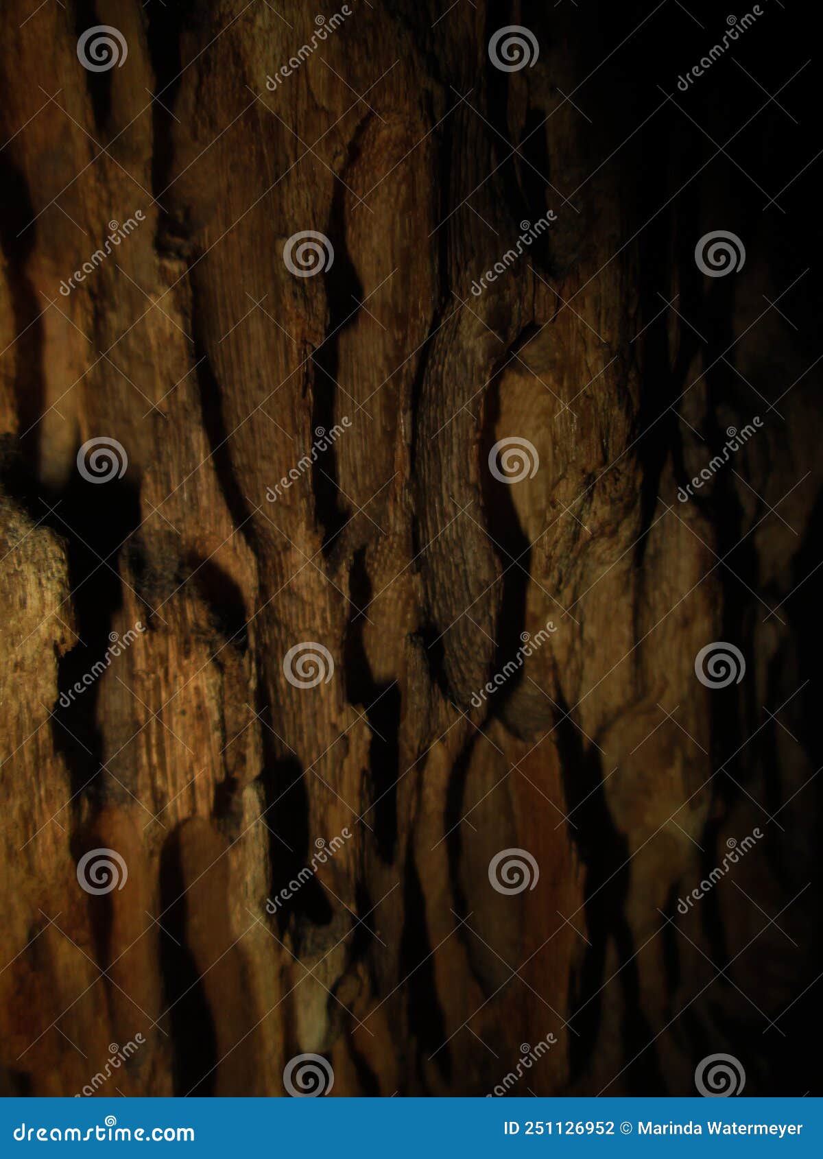 Rough Dark Brown Wooden Texture Formed by a Tree S Bark Stock Photo ...