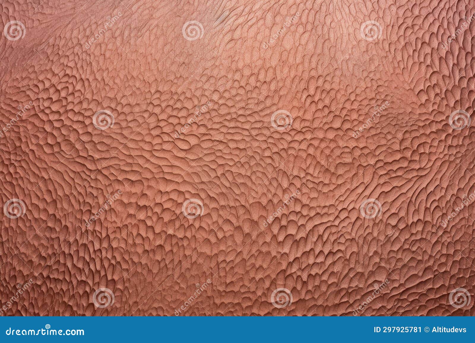 Rough, Embossed Wallpaper Texture Stock Image - Image of covering ...