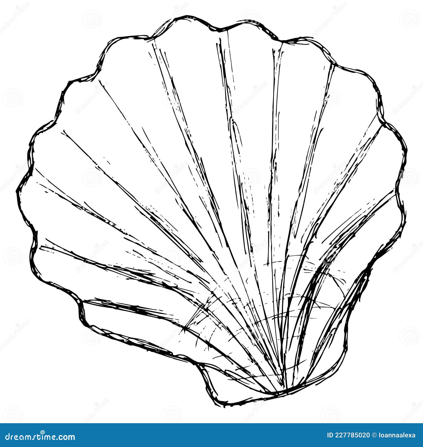 Rough Freehand Outline Drawing Of A Seashell With A Pearl. Vector ...