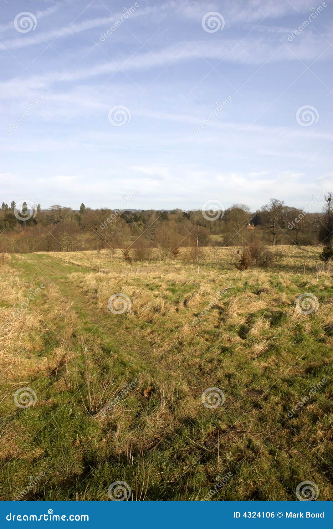 Rough grass stock photo. Image of grass, landscape, nature - 4324106
