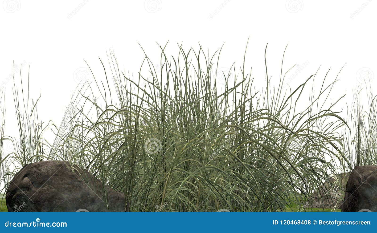 Rough Grass between Granite Stones Stock Photo - Image of flora, color ...