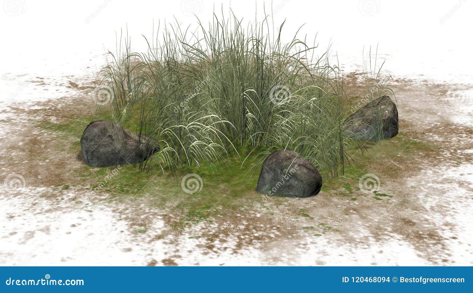 Rough Grass between Granite Stones on a Sand Erea Stock Photo - Image ...