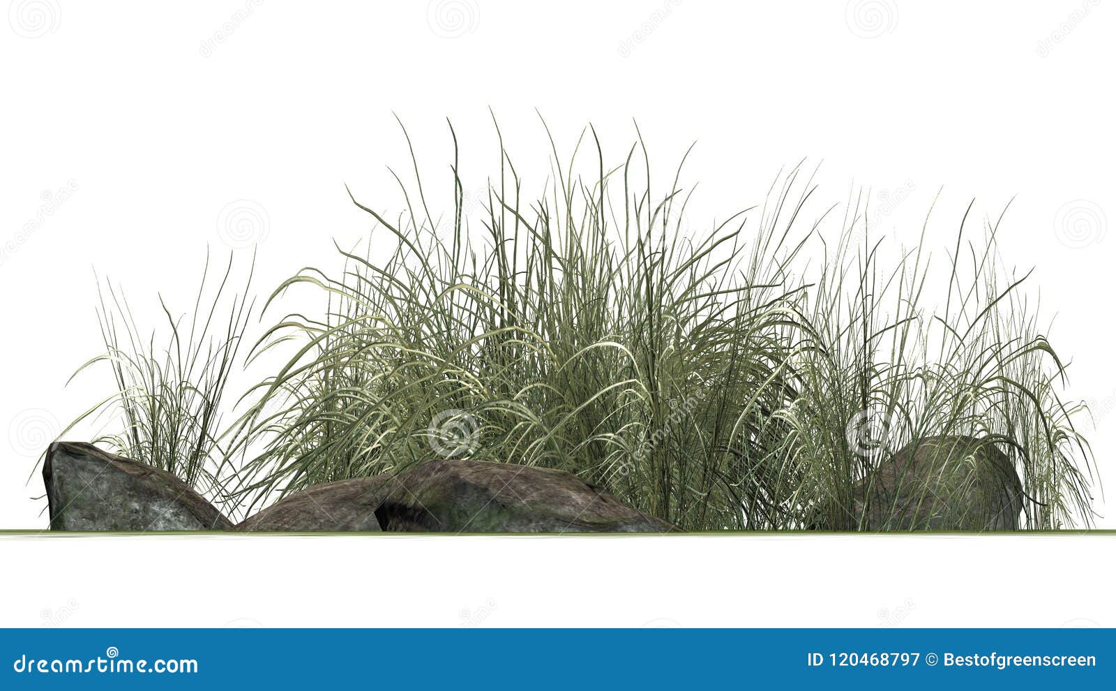 Rough Grass between Granite Stones Stock Image - Image of healthy ...