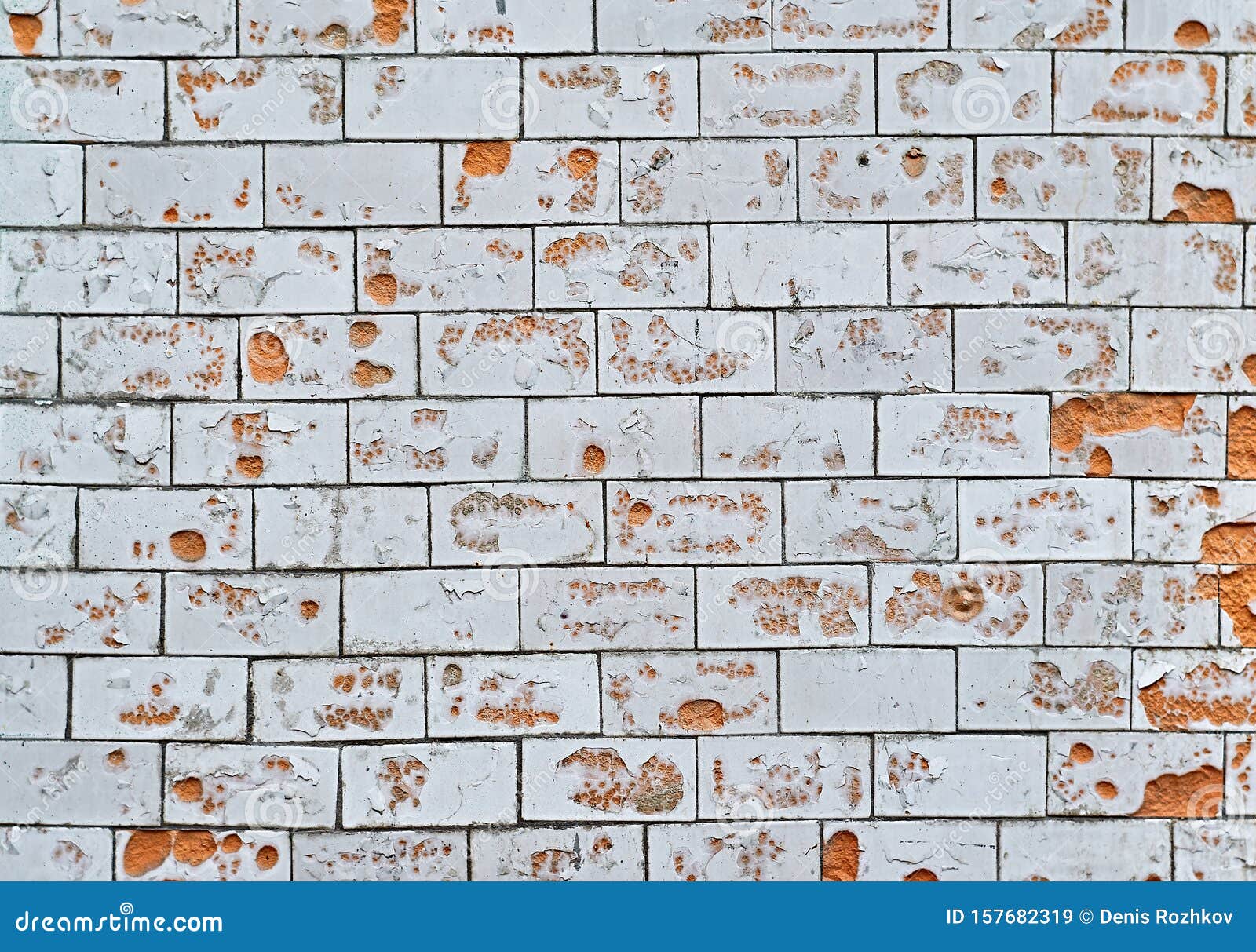 The Texture of an Old White, Tiled Wall with Broken, Cracked Wall Tiles ...