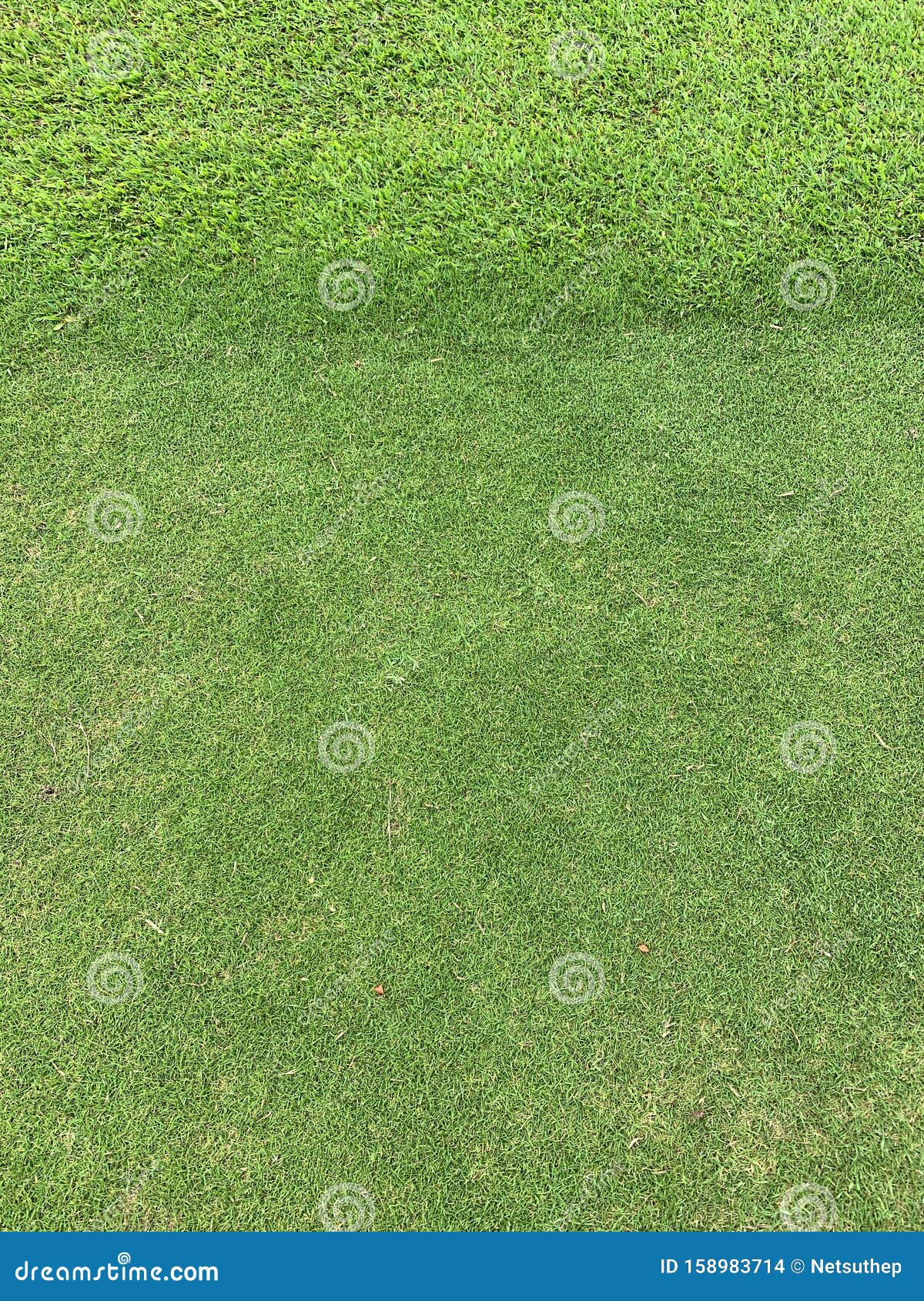 4,808 Rough Grass Golf Stock Photos - Free & Royalty-Free Stock Photos ...