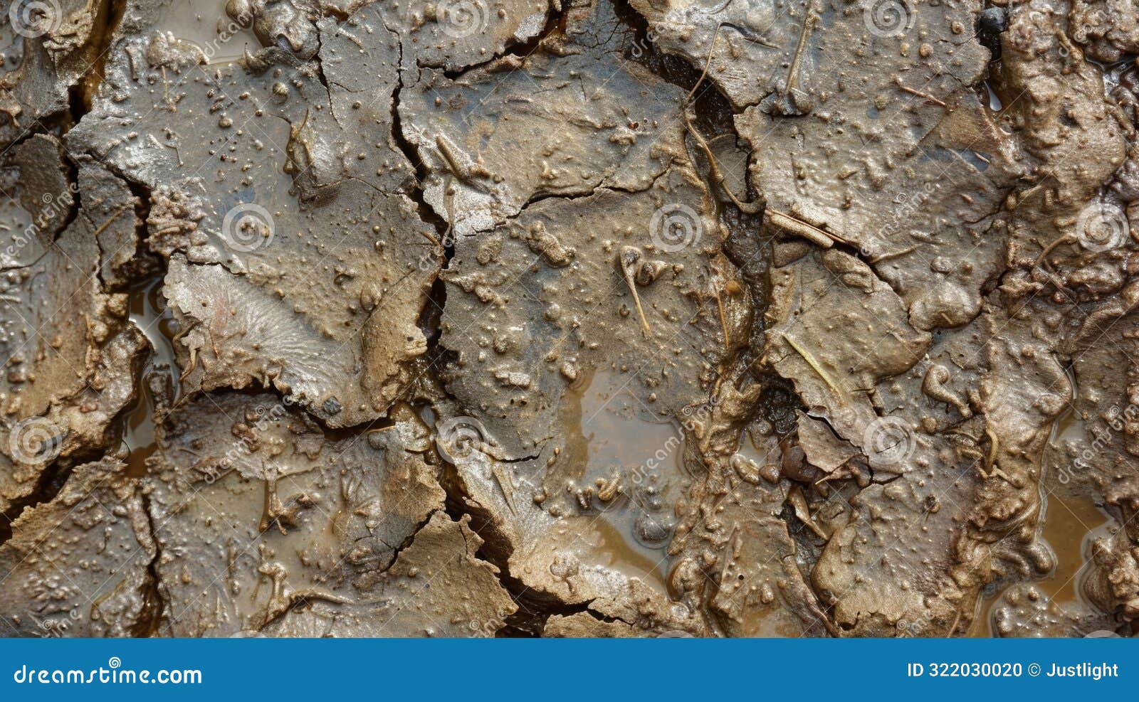The Rough and Gritty Texture of Mud Drying on the Surface of a Puddle ...