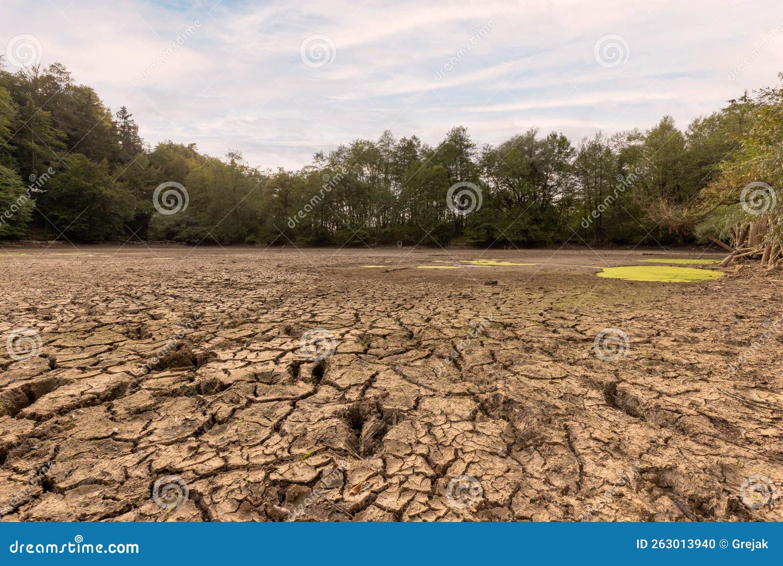 Rough Ground Surface, Texture with Desiccation Cracks Stock Photo ...