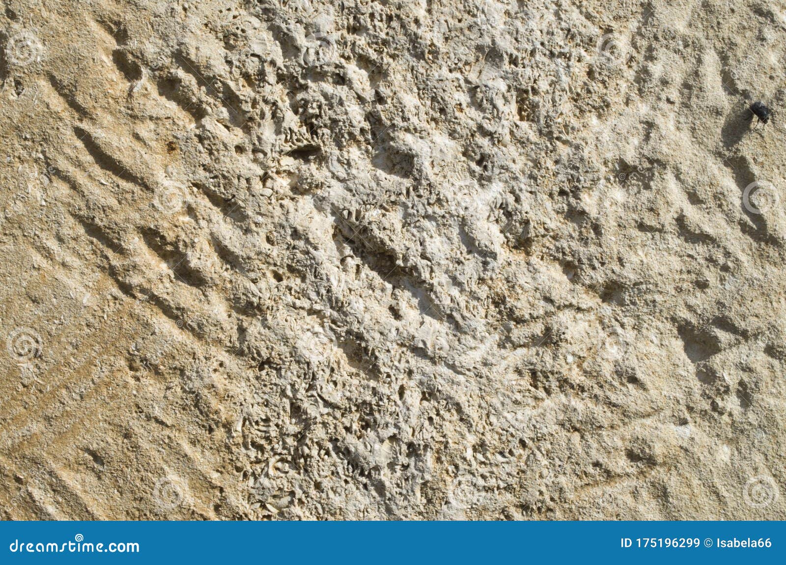 Rough Limestone on Wall Closeup Stock Image - Image of decor, closeup ...