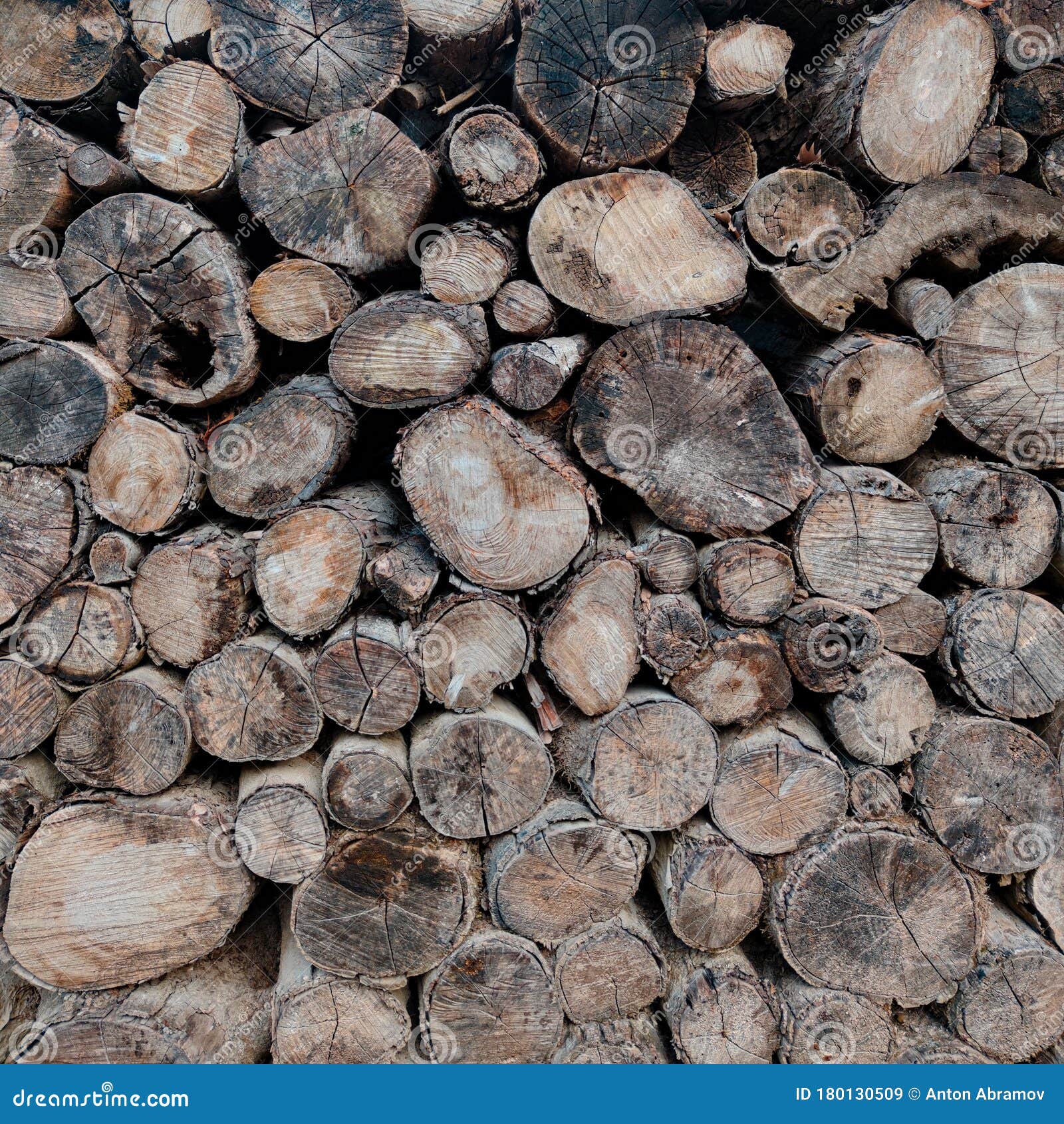 Rough Logs Cut Texture Background Stock Image - Image of space ...