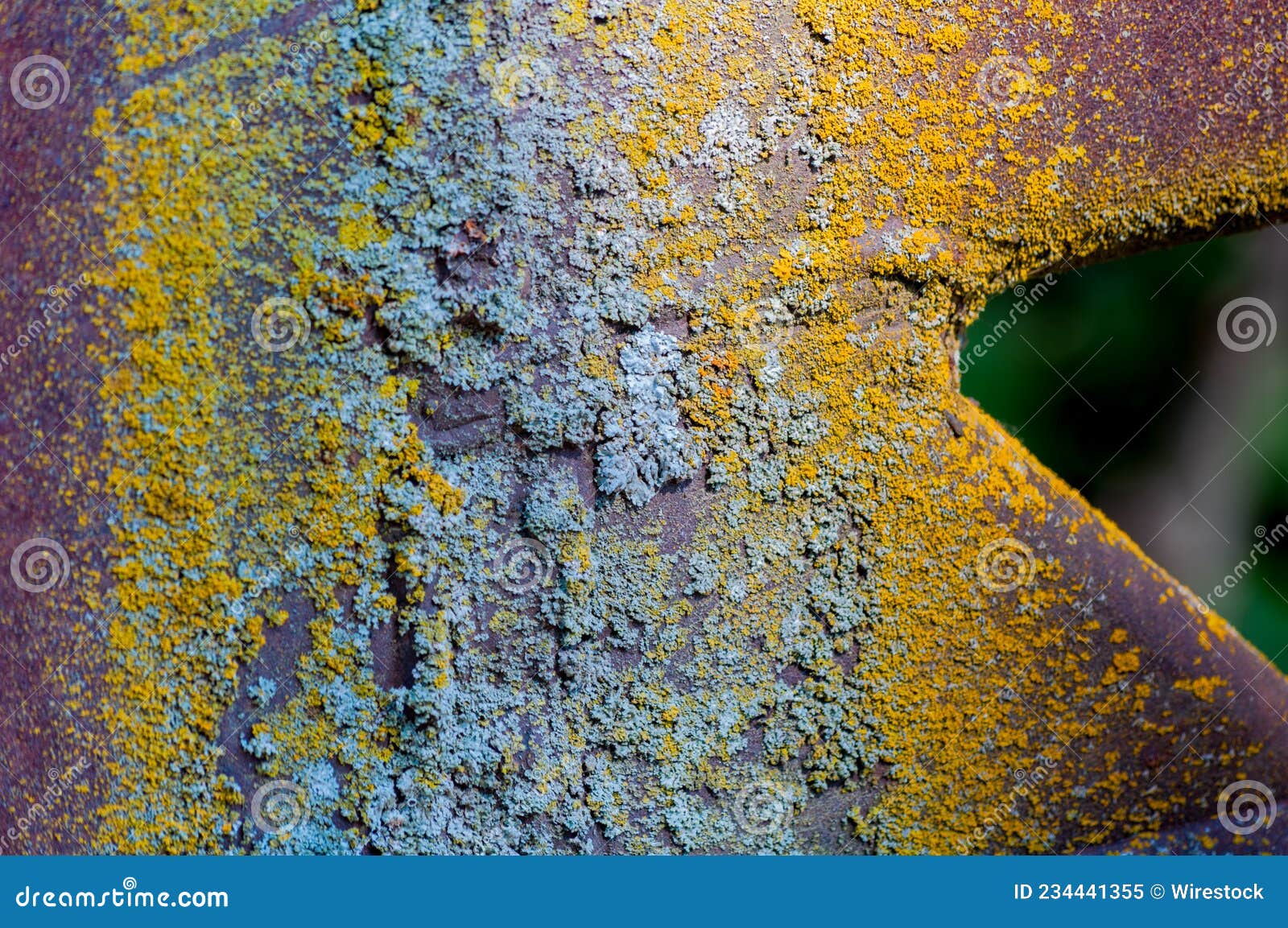 Rough Metal Surface Covered with Lichen Stock Image - Image of rusty ...