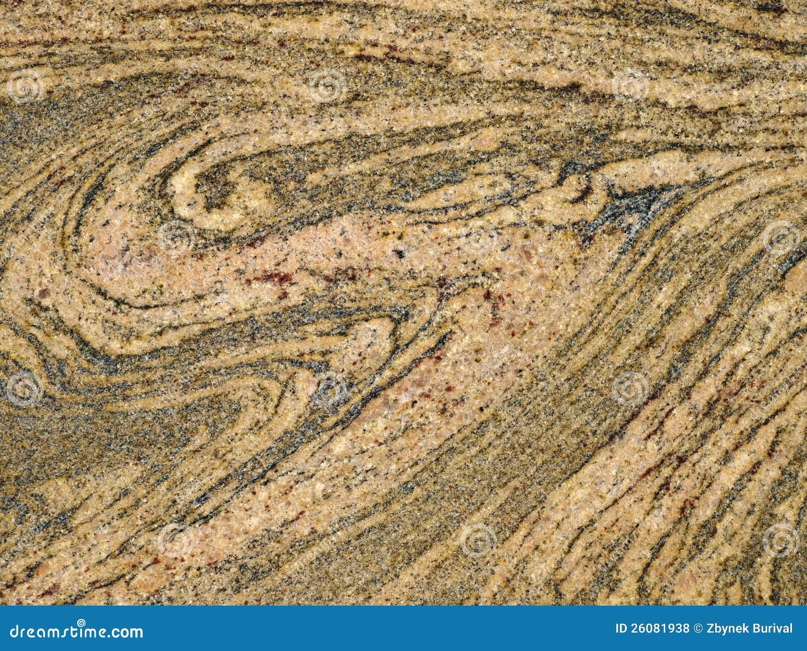 Rough Migmatite Rock Texture Stock Photo - Image of flow, grainy: 26081938