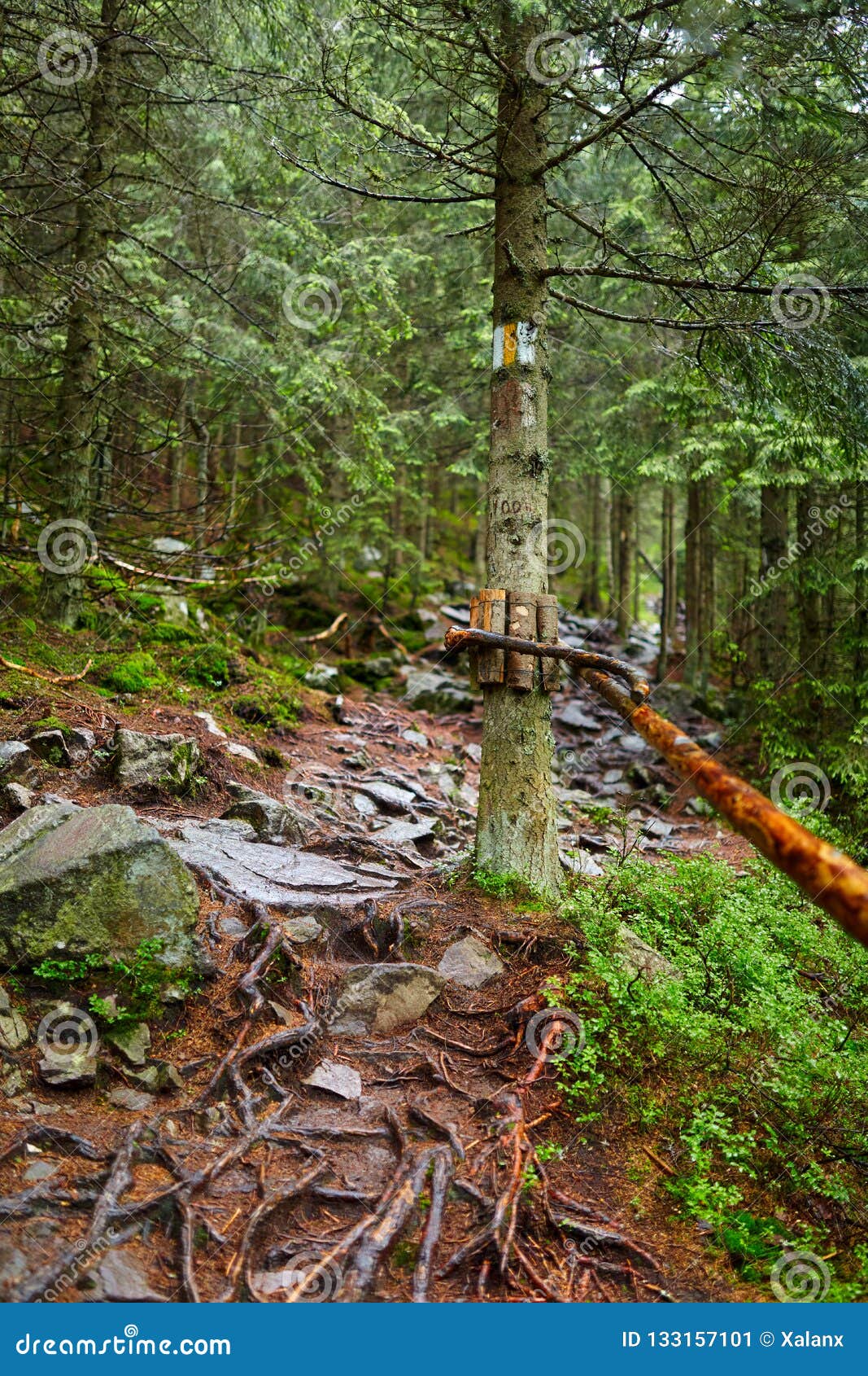 Rough mountain trail stock image. Image of light, soil - 133157101