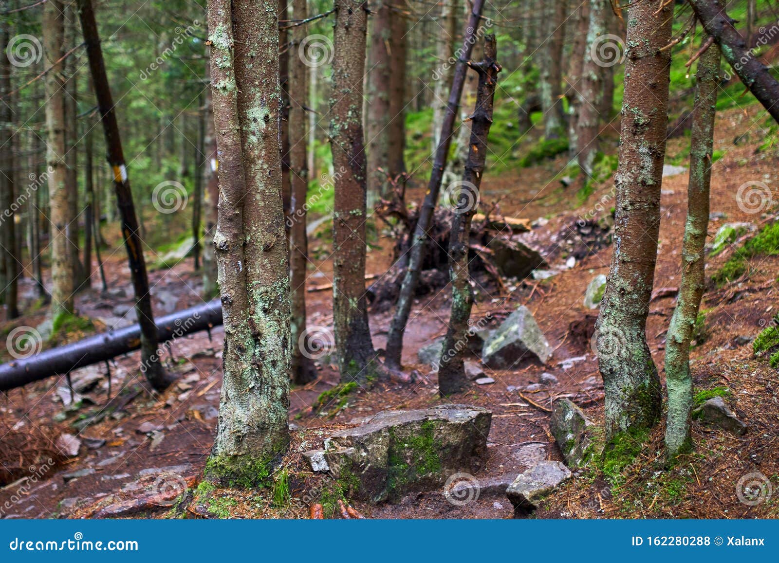 Rough mountain trail stock photo. Image of soil, landscape - 162280288