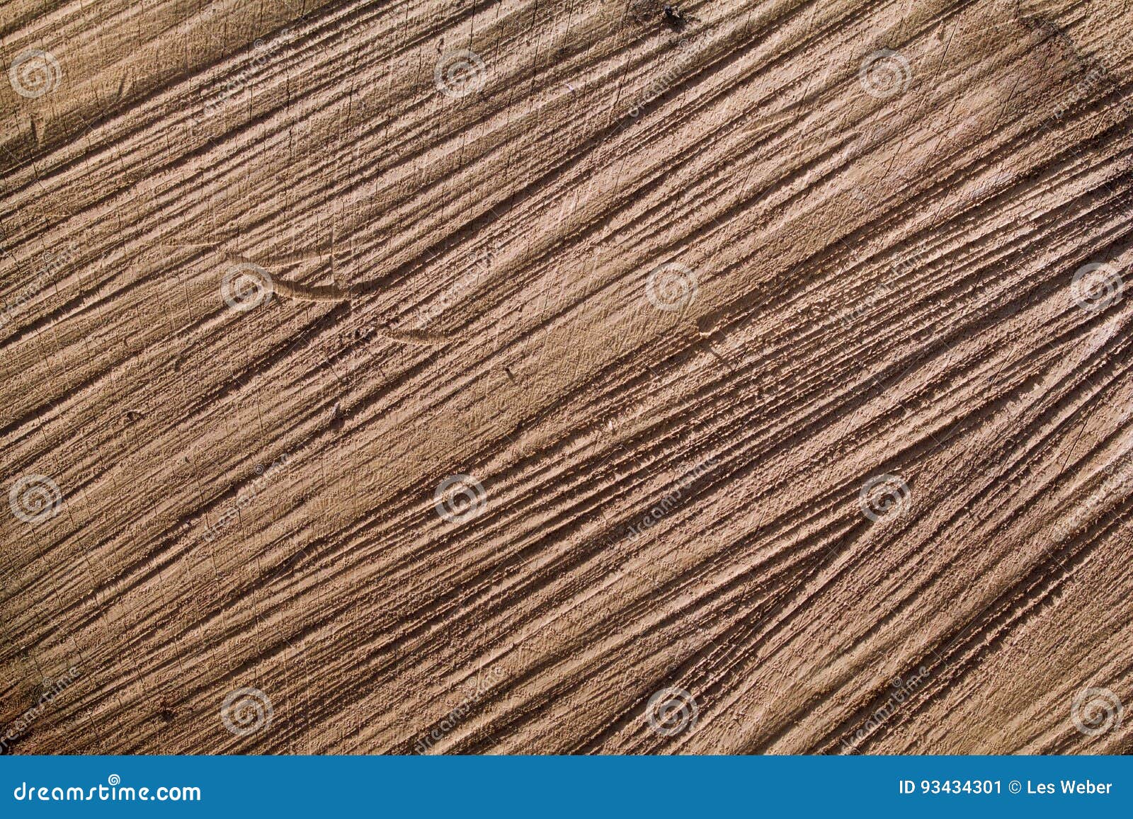 Rough Oak Log Cross Section Stock Image - Image of brown, annual: 93434301