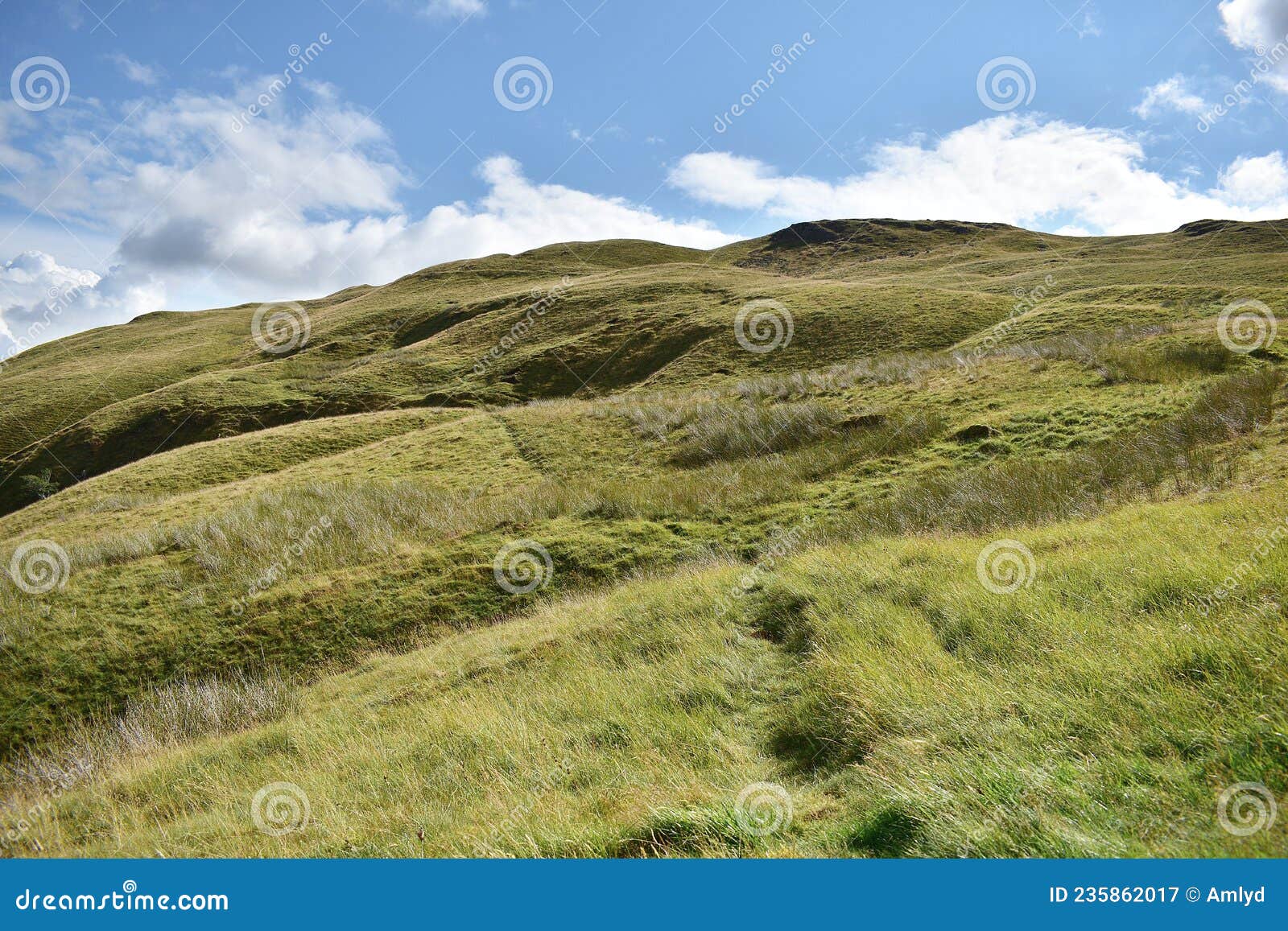On Rough Path Below Beda Fell, Lake District Stock Image - Image of ...