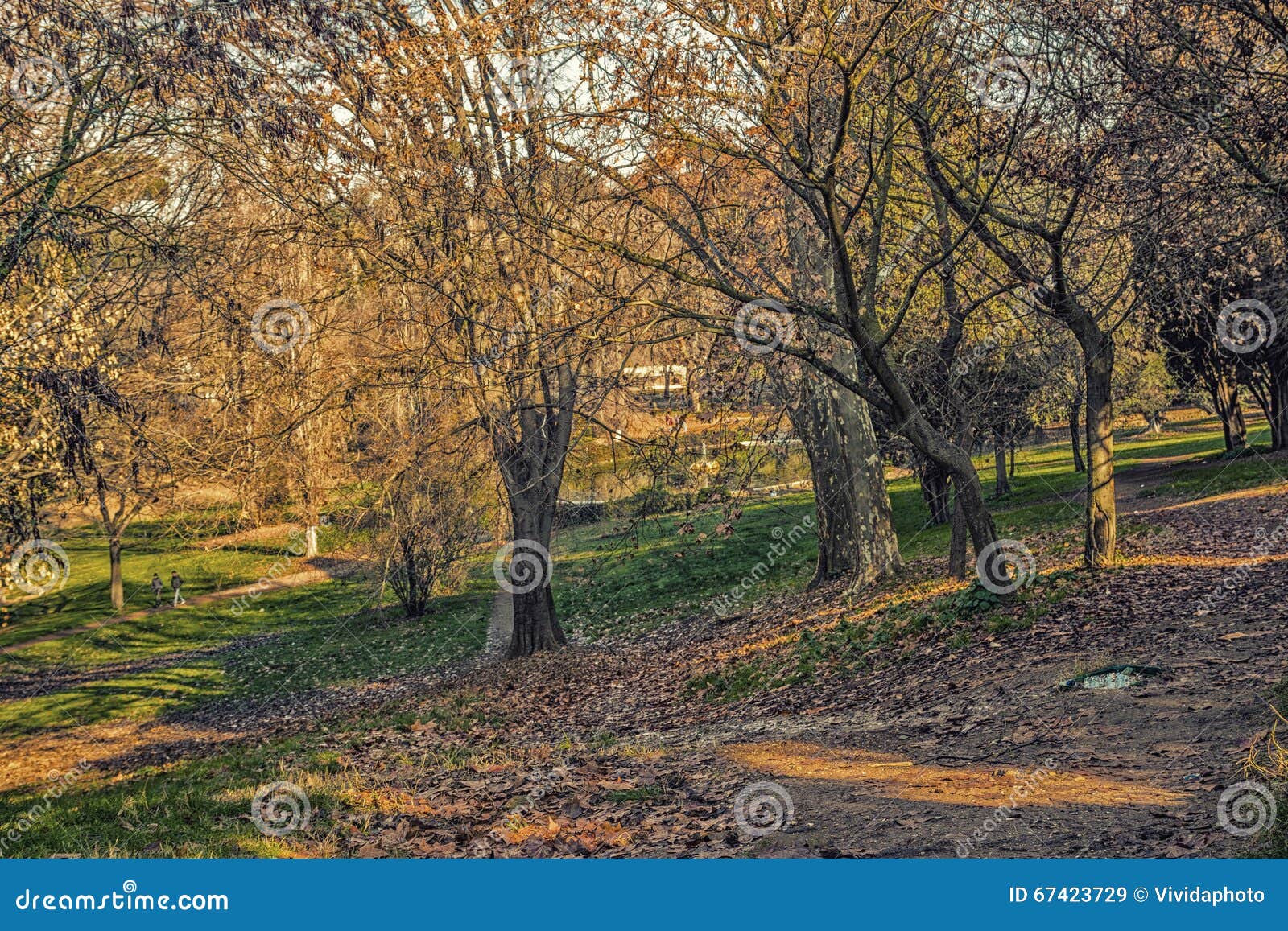 Rough Path Leading Up Eastern Side Of Loughrigg Fell Stock Photo ...