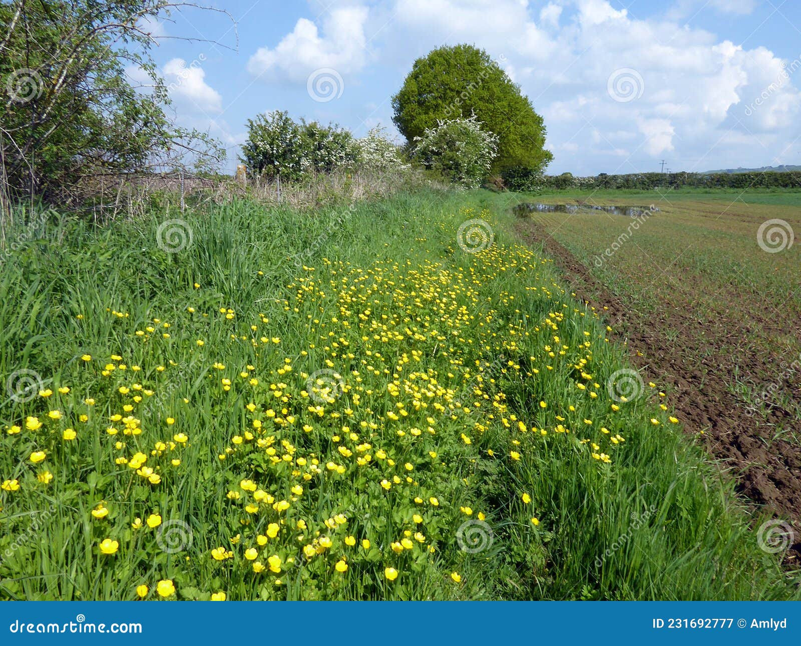 Rough Path Leading Up Eastern Side Of Loughrigg Fell Stock Photo ...