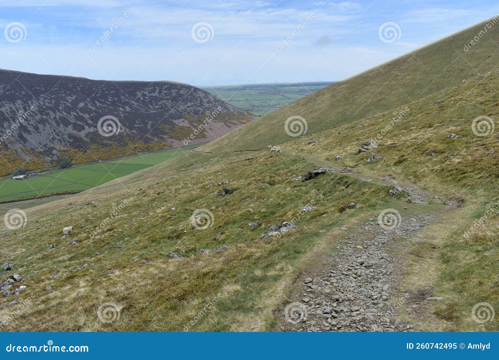 Rough path on hillside stock image. Image of england - 260742495