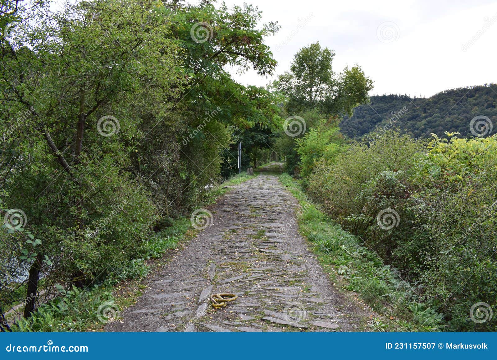 Rough Path Towards the Statue at Lorelei Stock Image - Image of mall ...