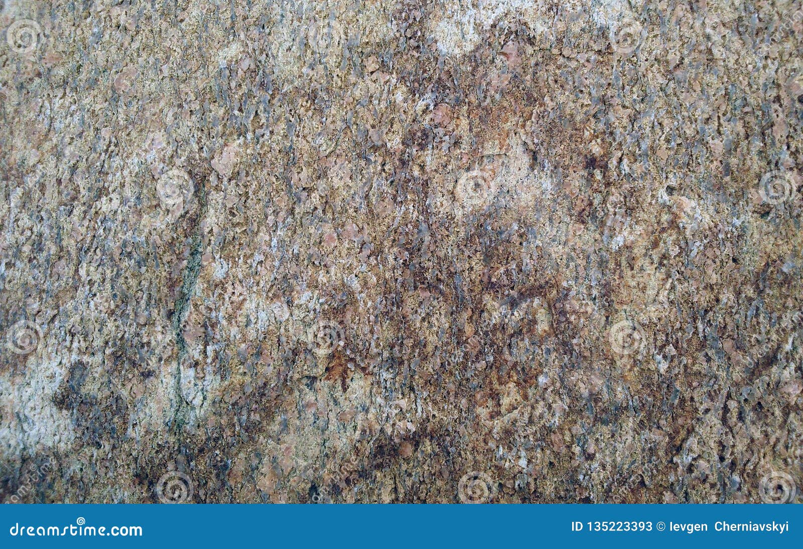 Rough Raw Coquina Shell Stone Surface Texture Stock Image - Image of ...