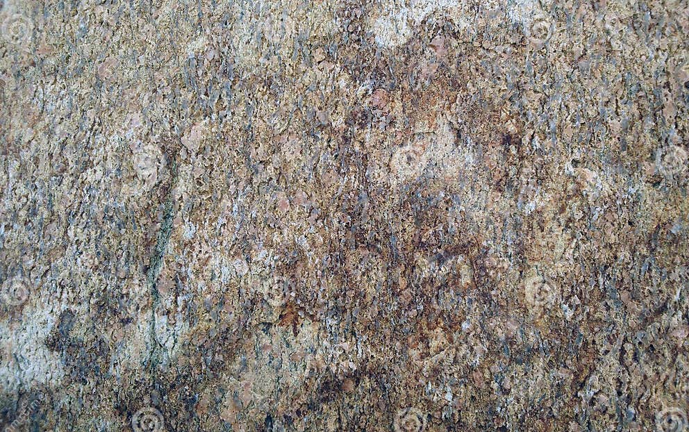 Rough Raw Coquina Shell Stone Surface Texture Stock Image - Image of ...