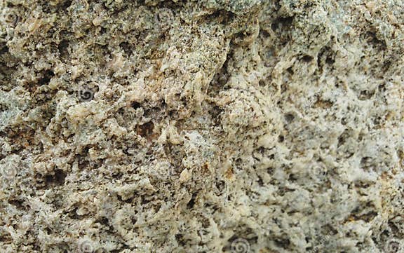 Rough Raw Tufa Stone Surface Texture Stock Photo - Image of paths ...