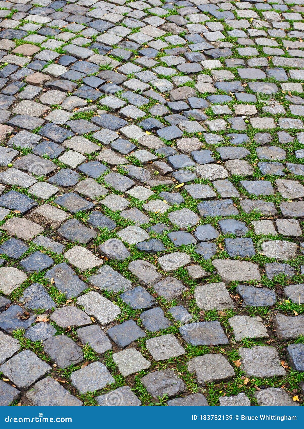 Rough Rectangular Cobblestones in Curved Pattern Stock Image - Image of ...
