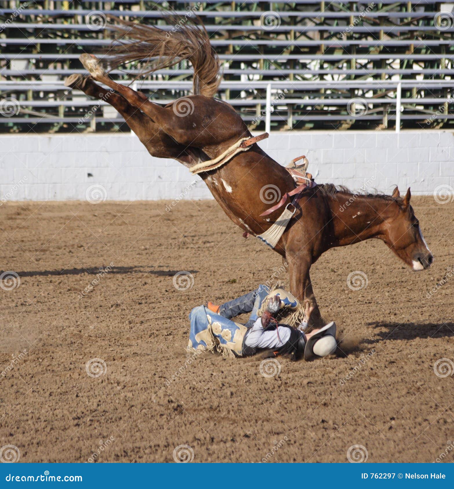 Rough Ride stock image. Image of chestnut, crash, bronco - 762297