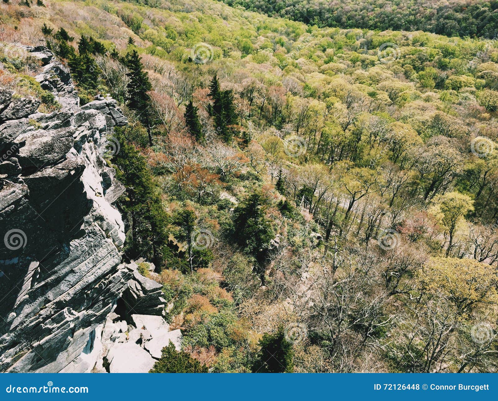 Rough Ridge lookout stock photo. Image of parkway, blue - 72126448