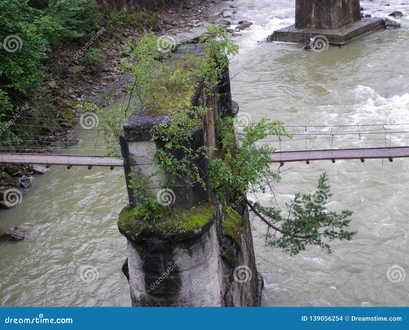 Rough River in the Carpathians and Stock Photo - Image of fall, flow ...