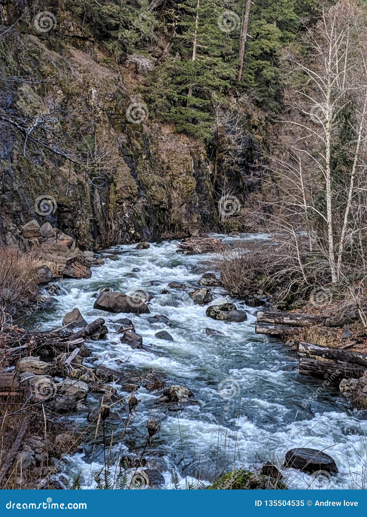 Rough river Oregon coast stock image. Image of water - 135504535