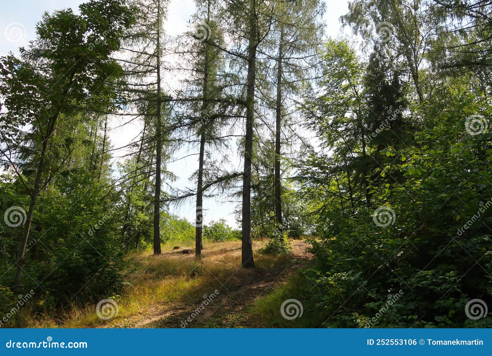 Dirty path stock photo. Image of sunlight, republic - 252553106