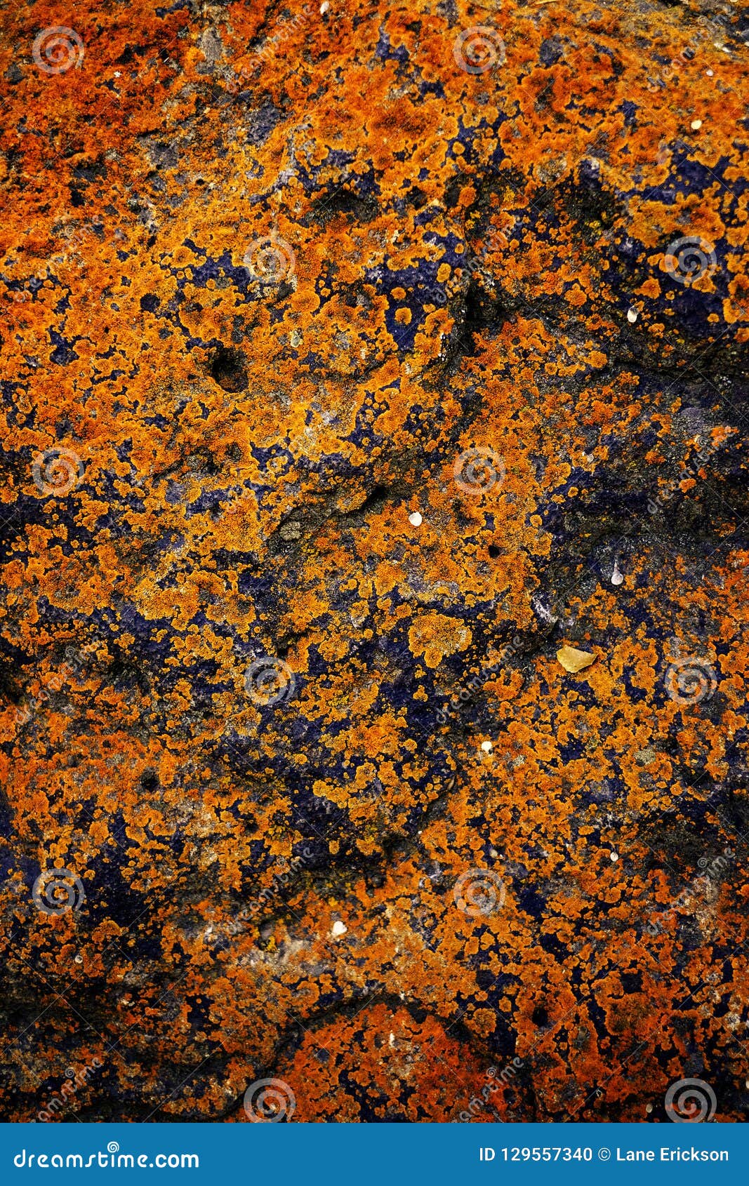 Rough Rock Texture with Rust Lichens Growth Old Stock Photo - Image of ...