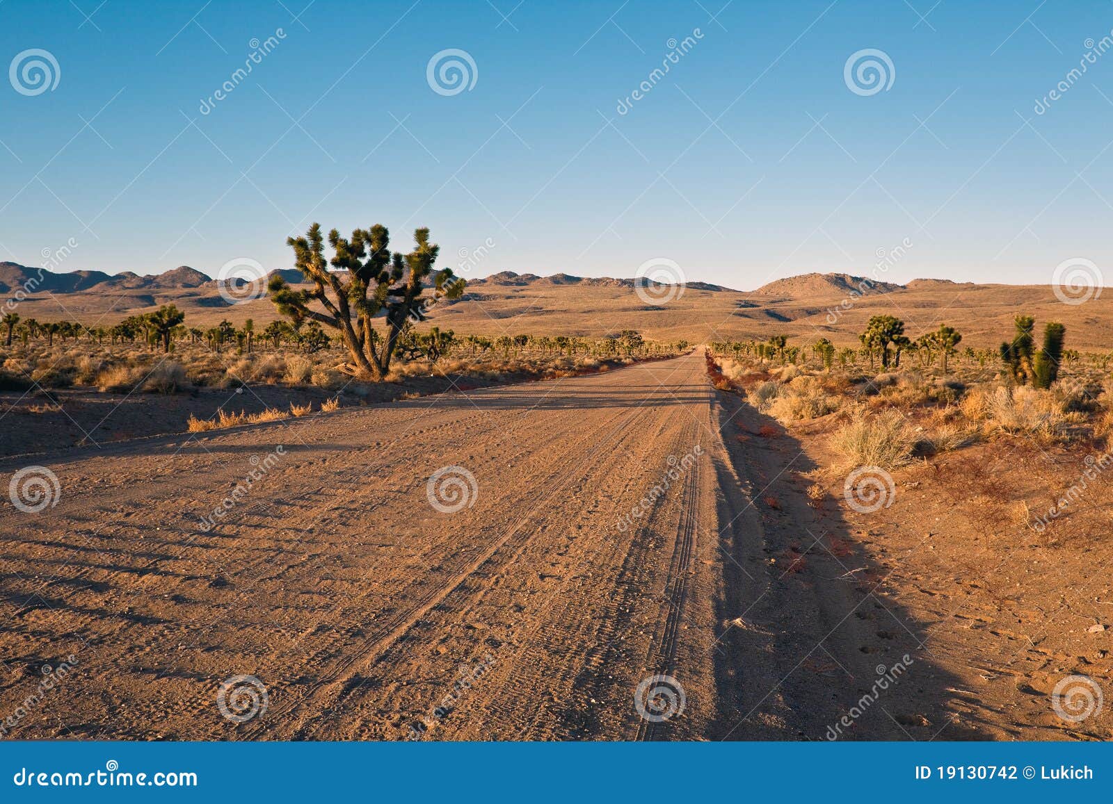 Rough Saline Valley Road To a Junction in Lee Flat Stock Photo - Image ...